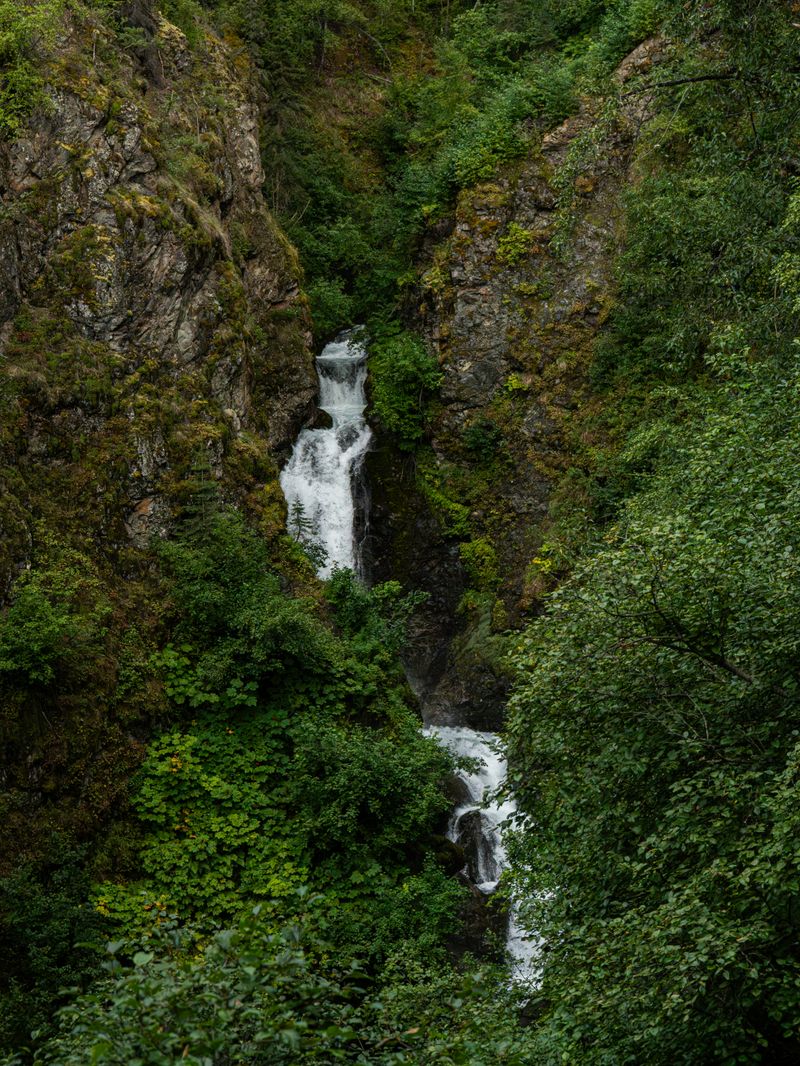 Forest Waterfall Landscape Photos, Download The BEST Free Forest ...