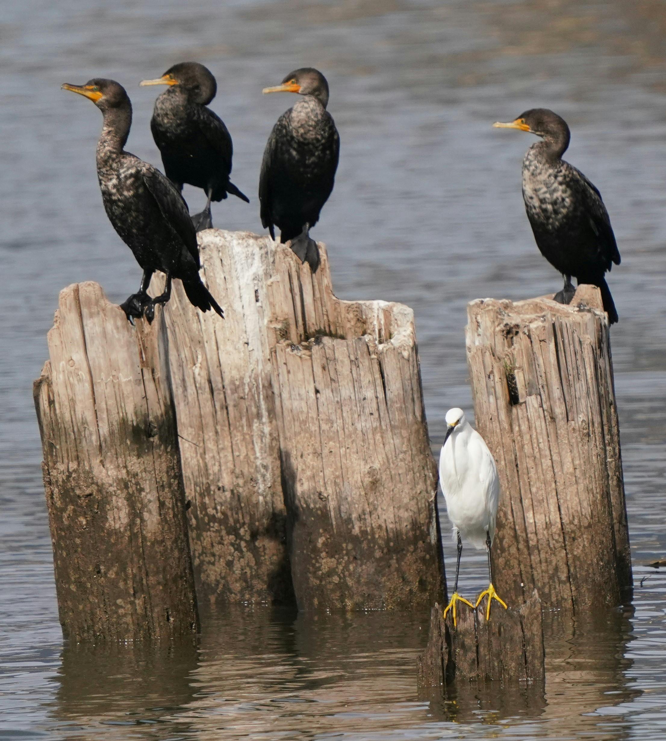 Russian+Feet Photos, Download The BEST Free Russian+Feet Stock Photos ...