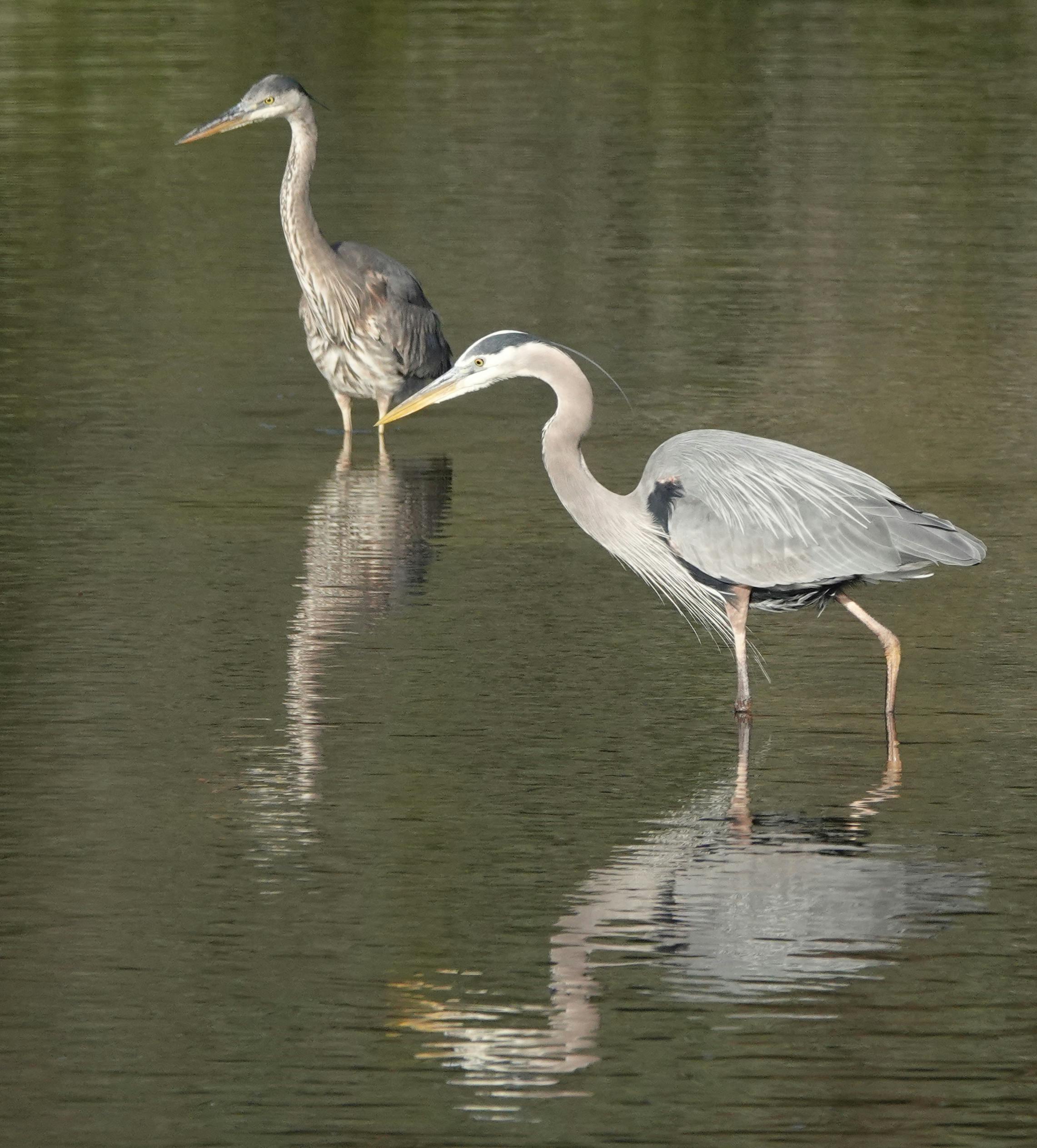 Legs+Kat+Timpf Photos, Download The BEST Free Legs+Kat+Timpf Stock ...