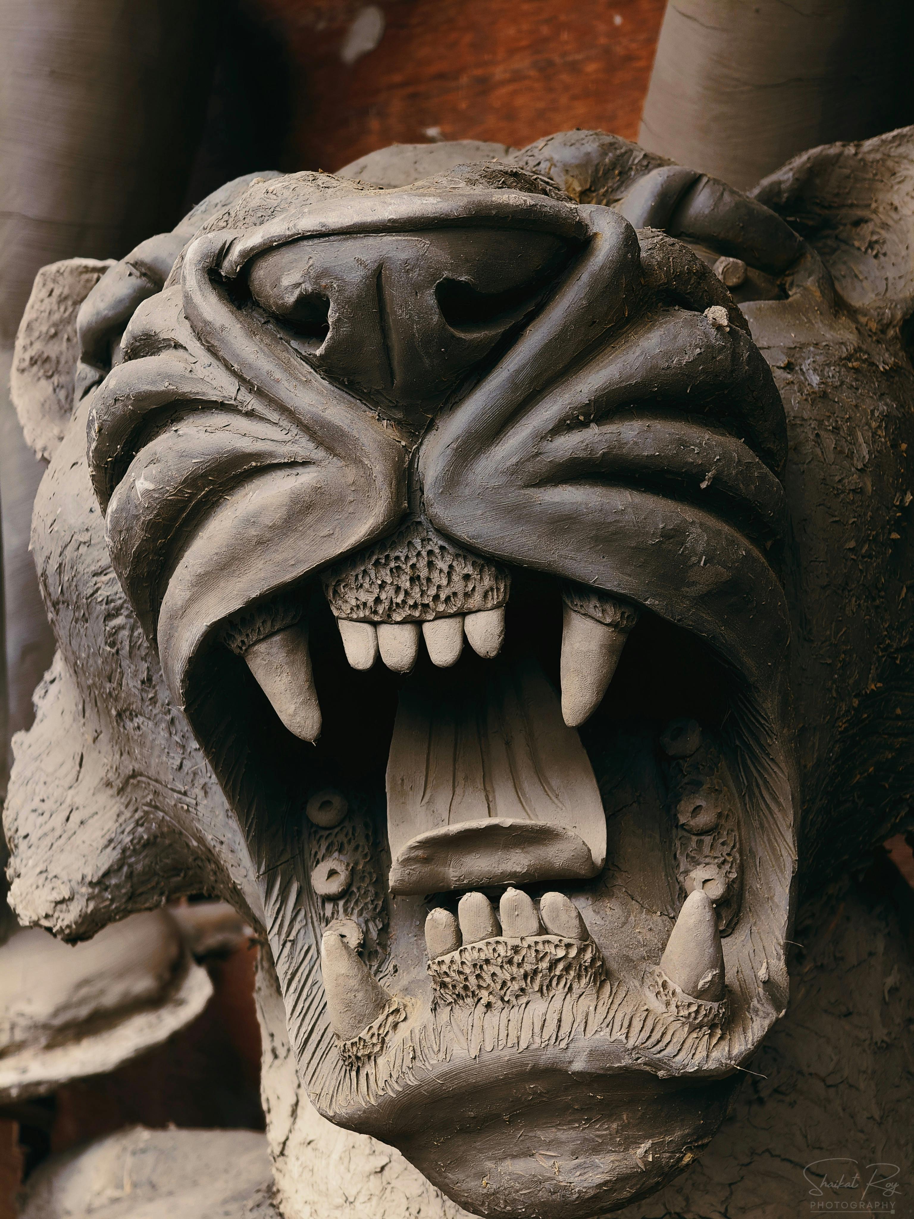 Realistic Photos, Download The BEST Free Realistic Stock Photos & HD Images