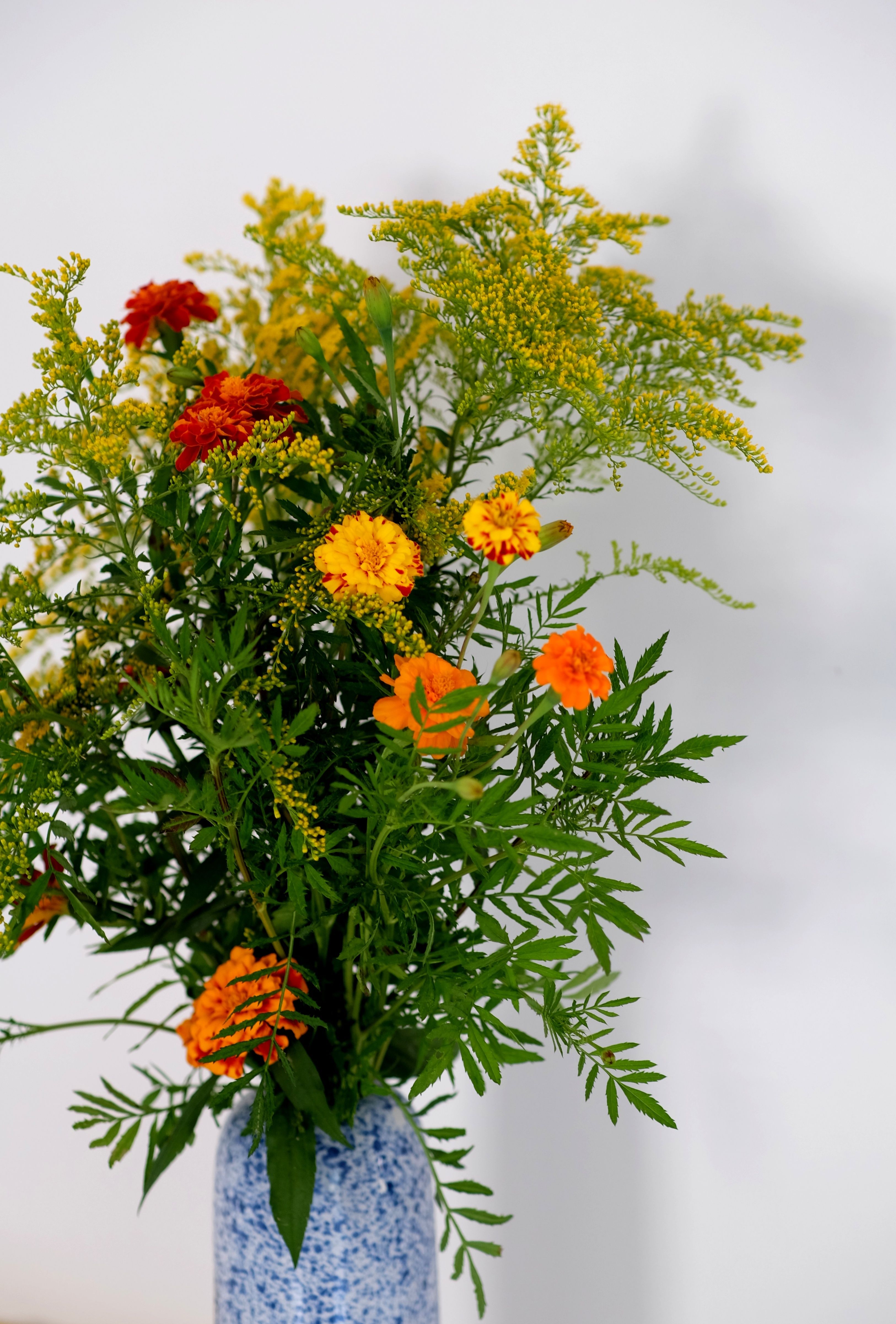 Vibrant Bouquet of Marigolds in Ceramic Vase · Free Stock Photo