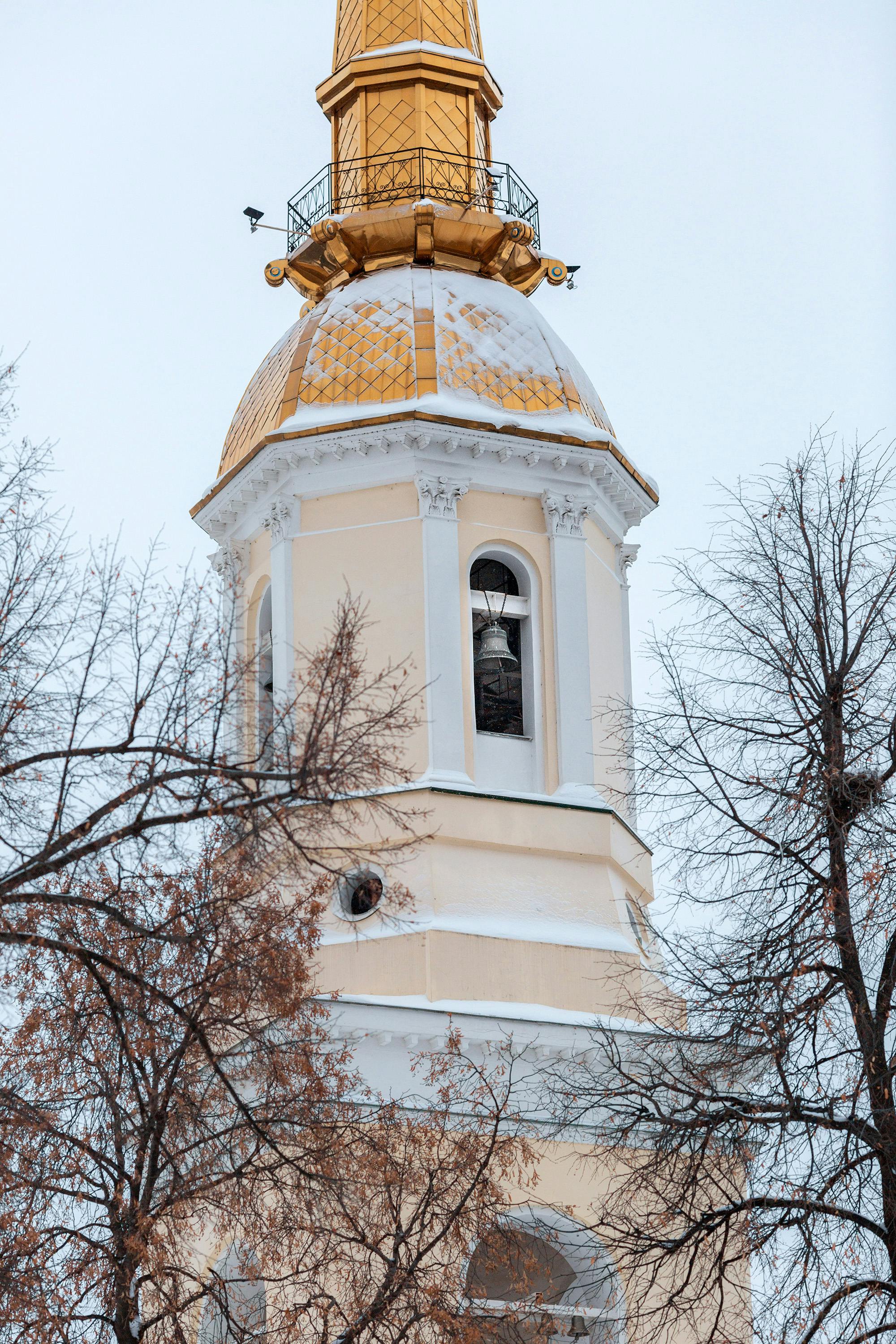 Tinker Bell Photos, Download The BEST Free Tinker Bell Stock Photos ...