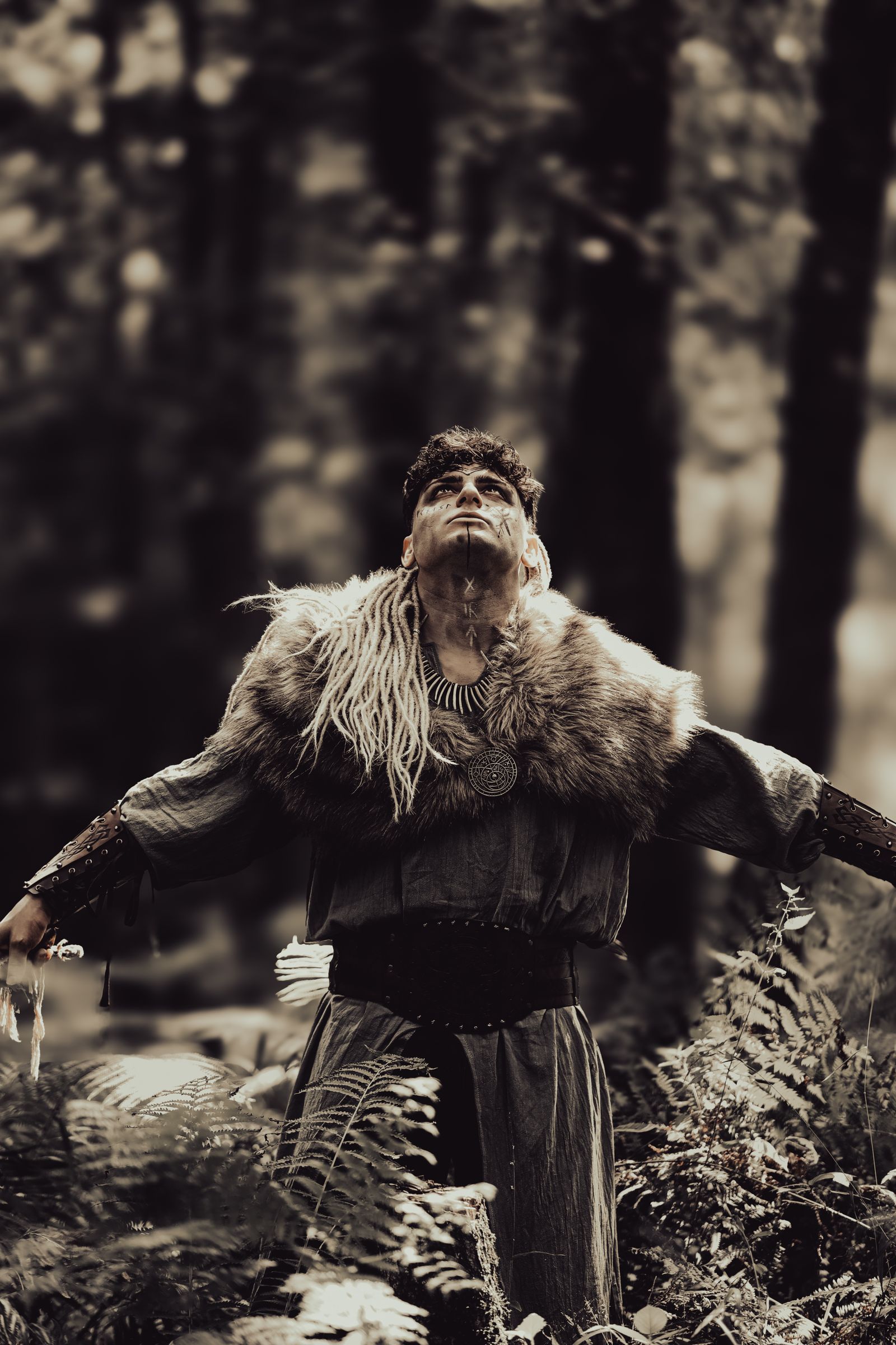 Viking Photos, Download The BEST Free Viking Stock Photos & HD Images