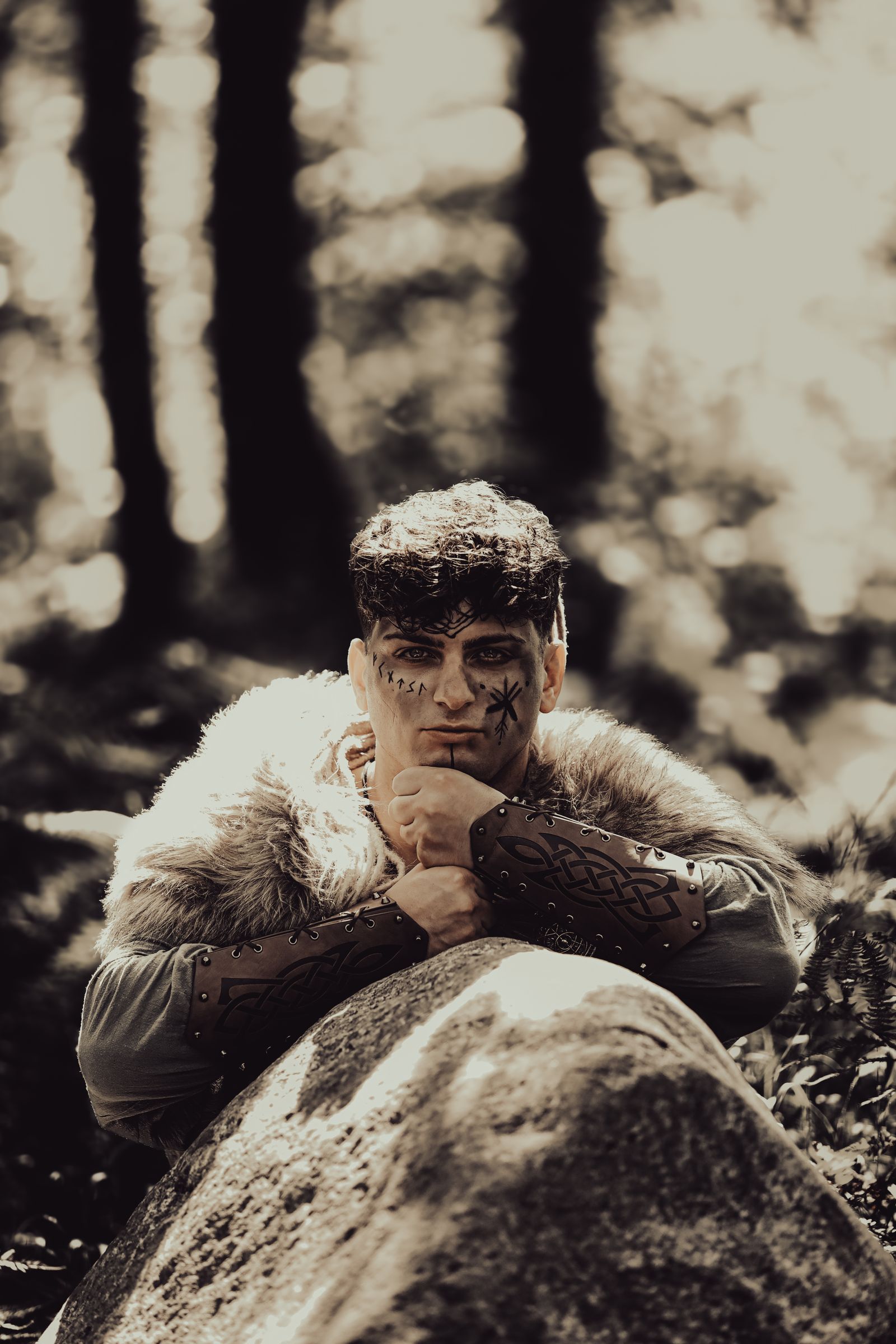 Viking Photos, Download The BEST Free Viking Stock Photos & HD Images