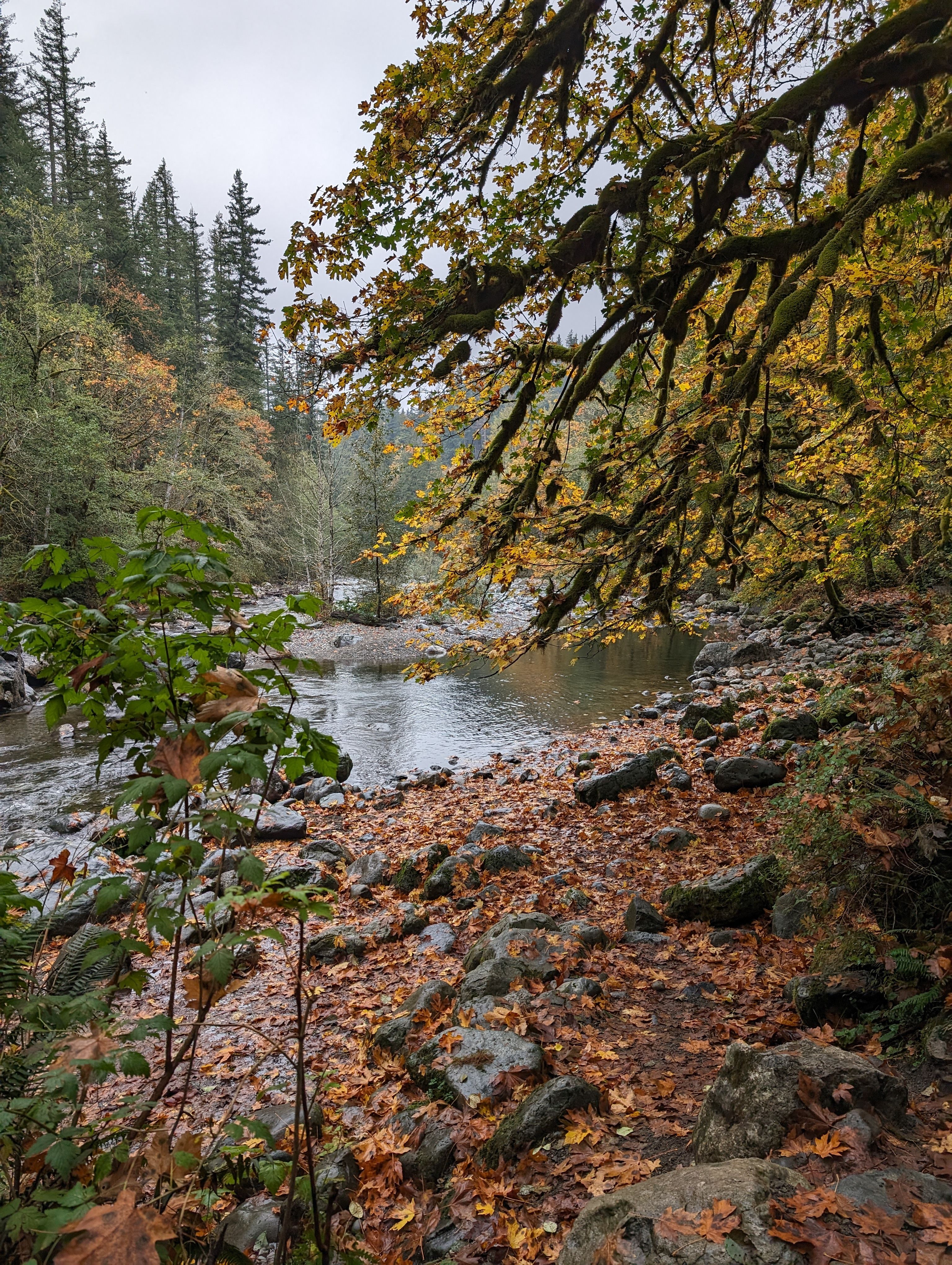 Pacific Northwest Photos, Download The BEST Free Pacific Northwest ...