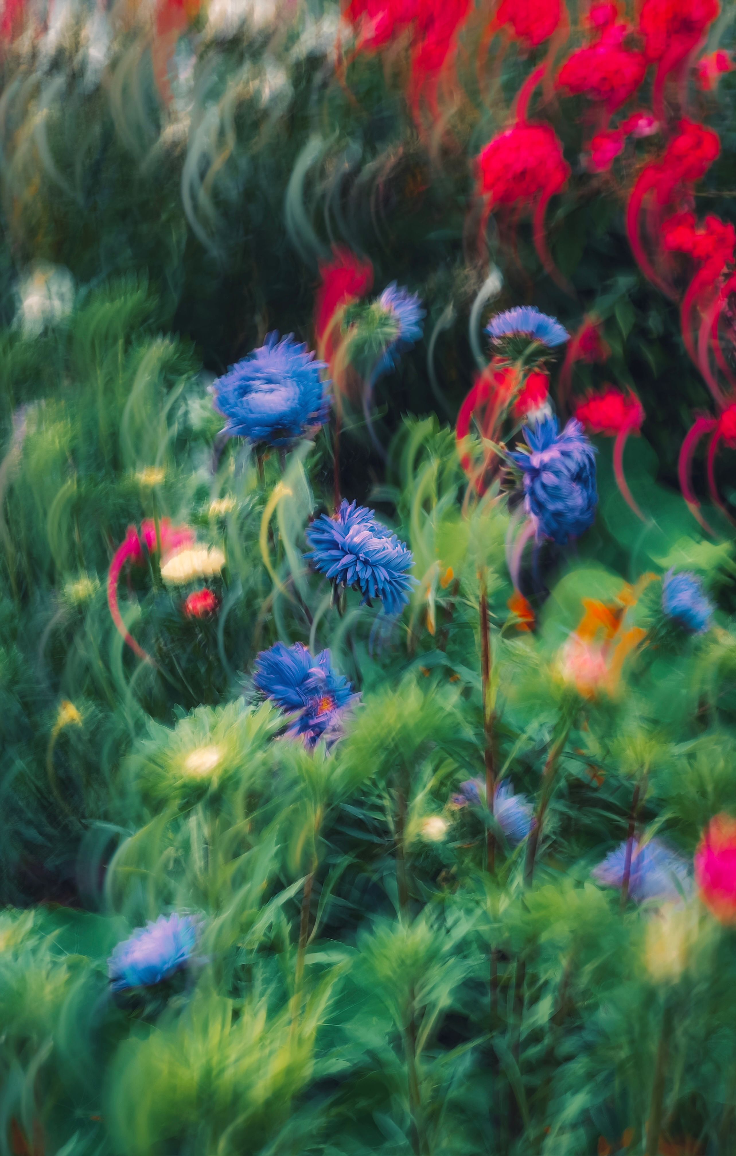 Abstract Flowers Photos, Download The BEST Free Abstract Flowers Stock ...