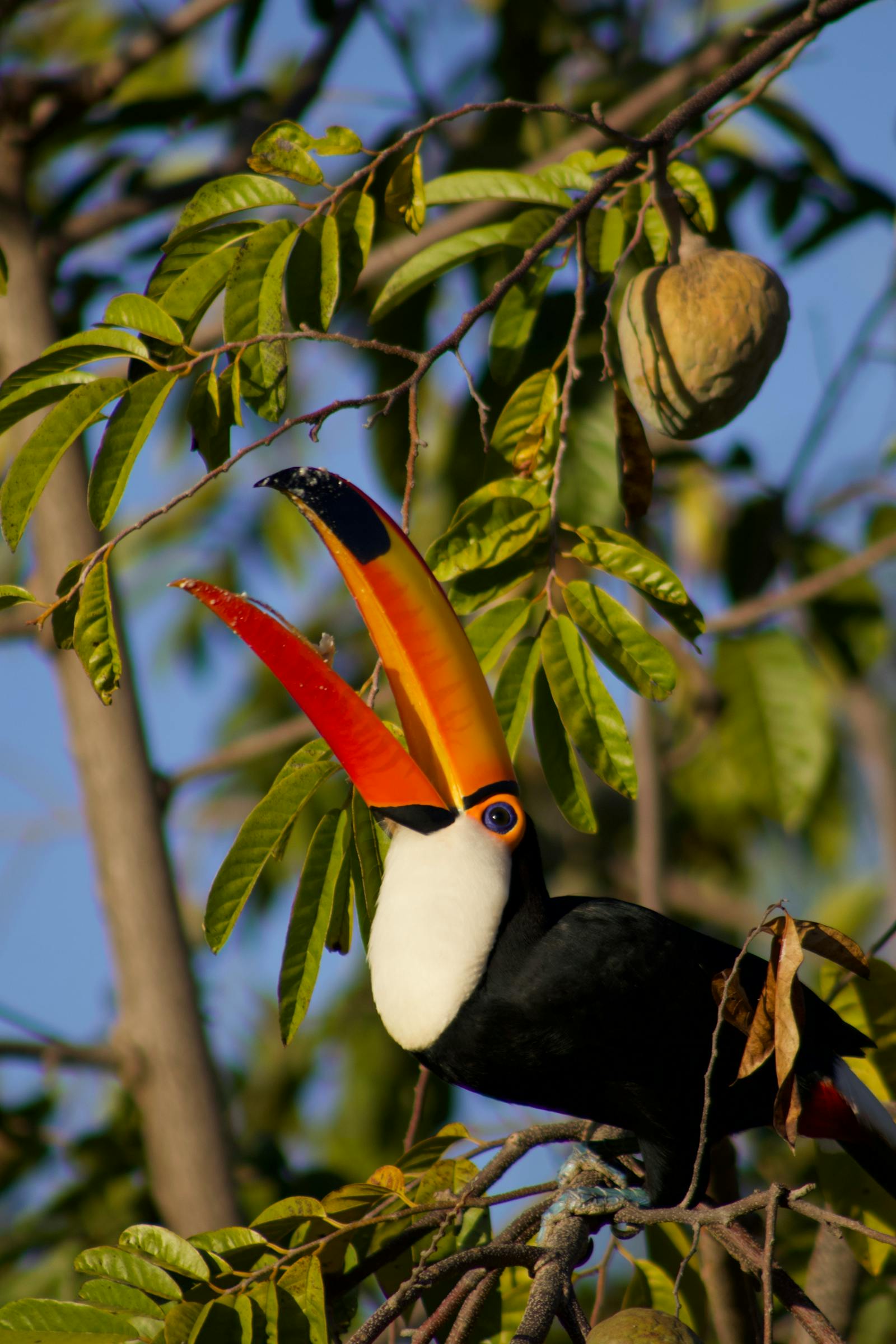 Lookpic.Com/Cdn/I2/S/06202025211847 002.Jpg[/Img] Photos, Download The ...