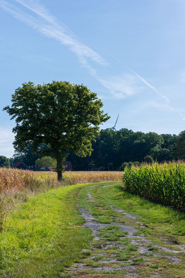 Simple Landscapes Photos, Download The BEST Free Simple Landscapes ...