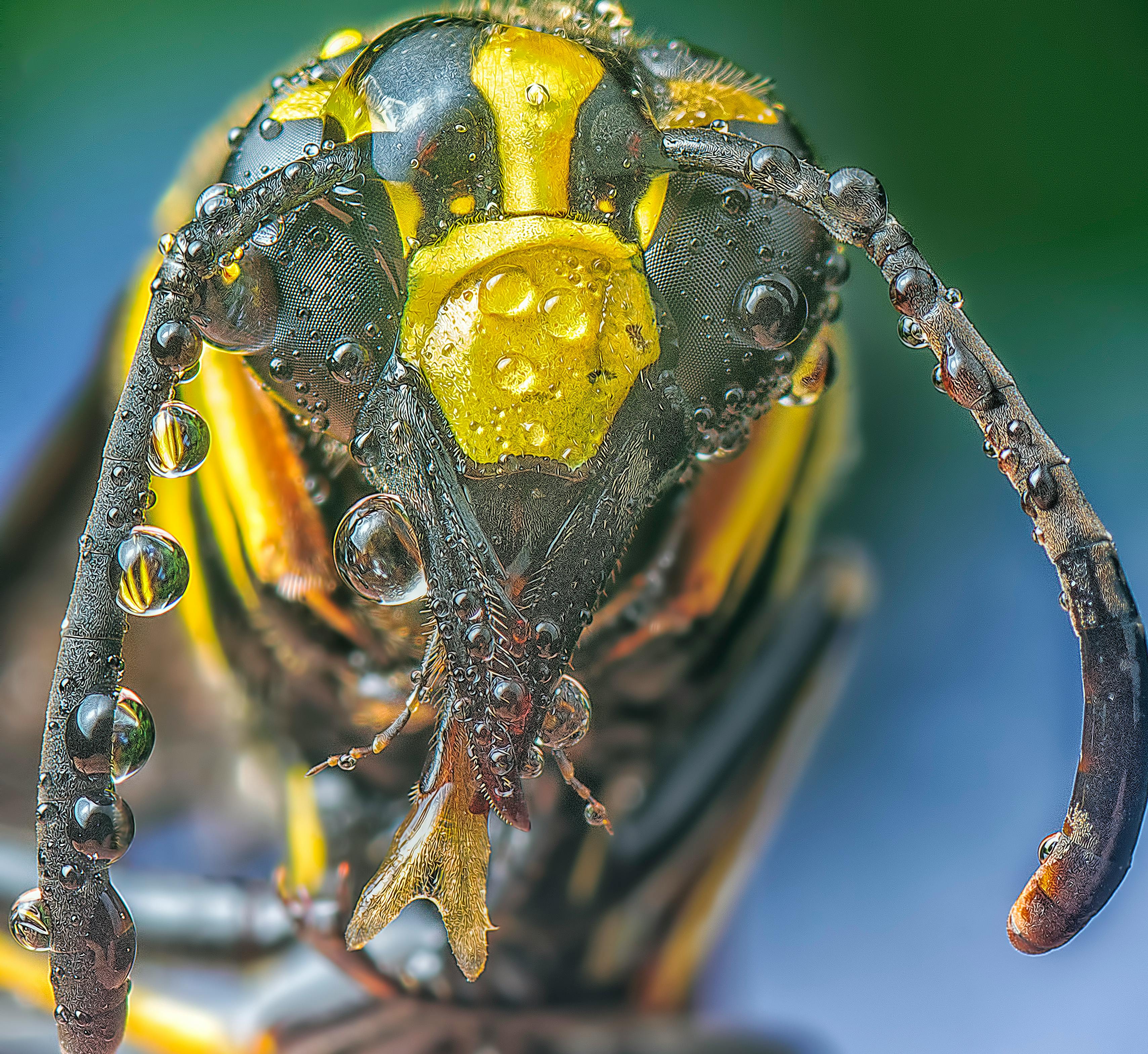 Big Bubs Photos, Download The BEST Free Big Bubs Stock Photos & HD Images