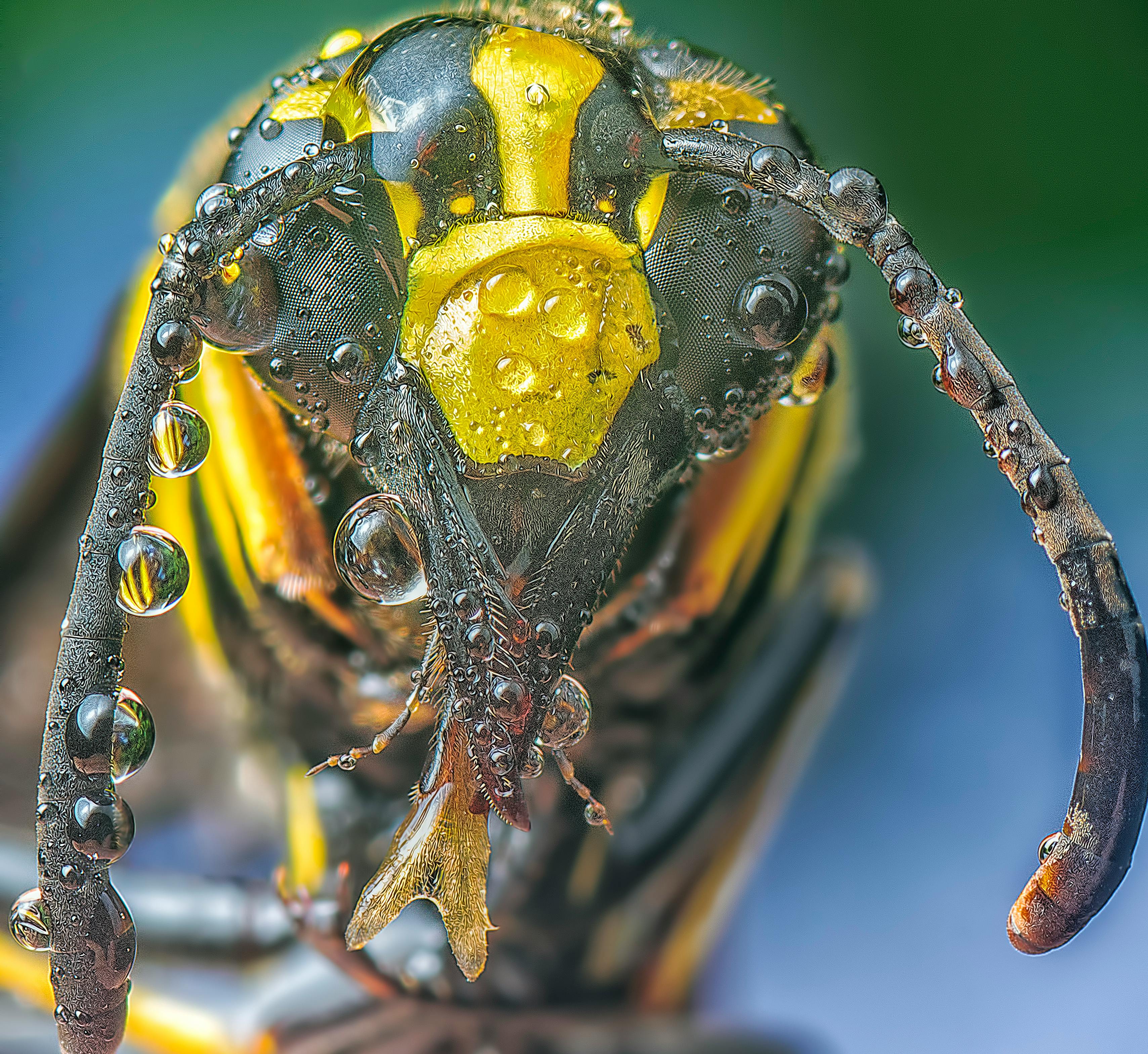 Big Bubs Photos, Download The BEST Free Big Bubs Stock Photos & HD Images