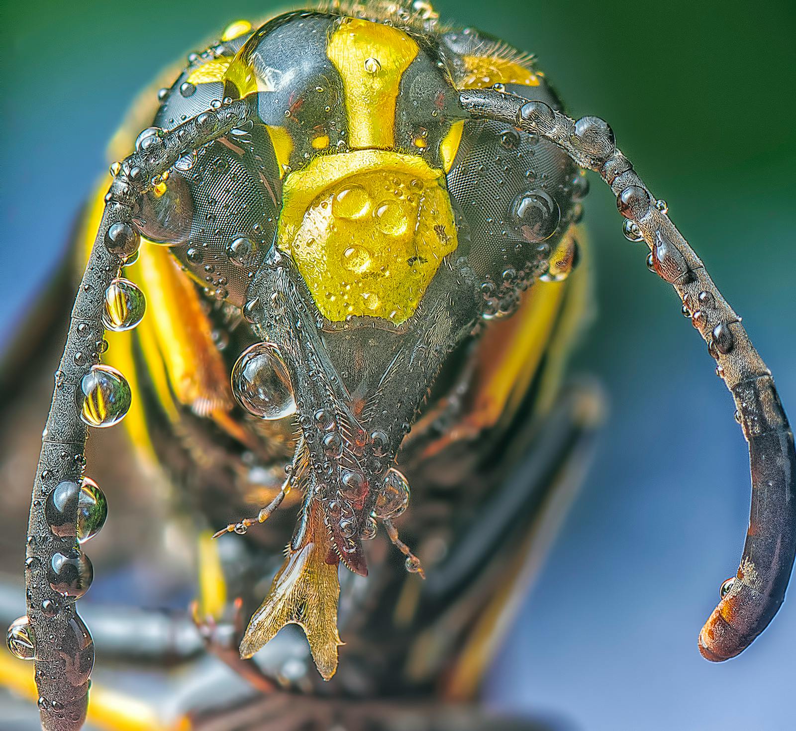 Big Bubs Photos, Download The BEST Free Big Bubs Stock Photos & HD Images