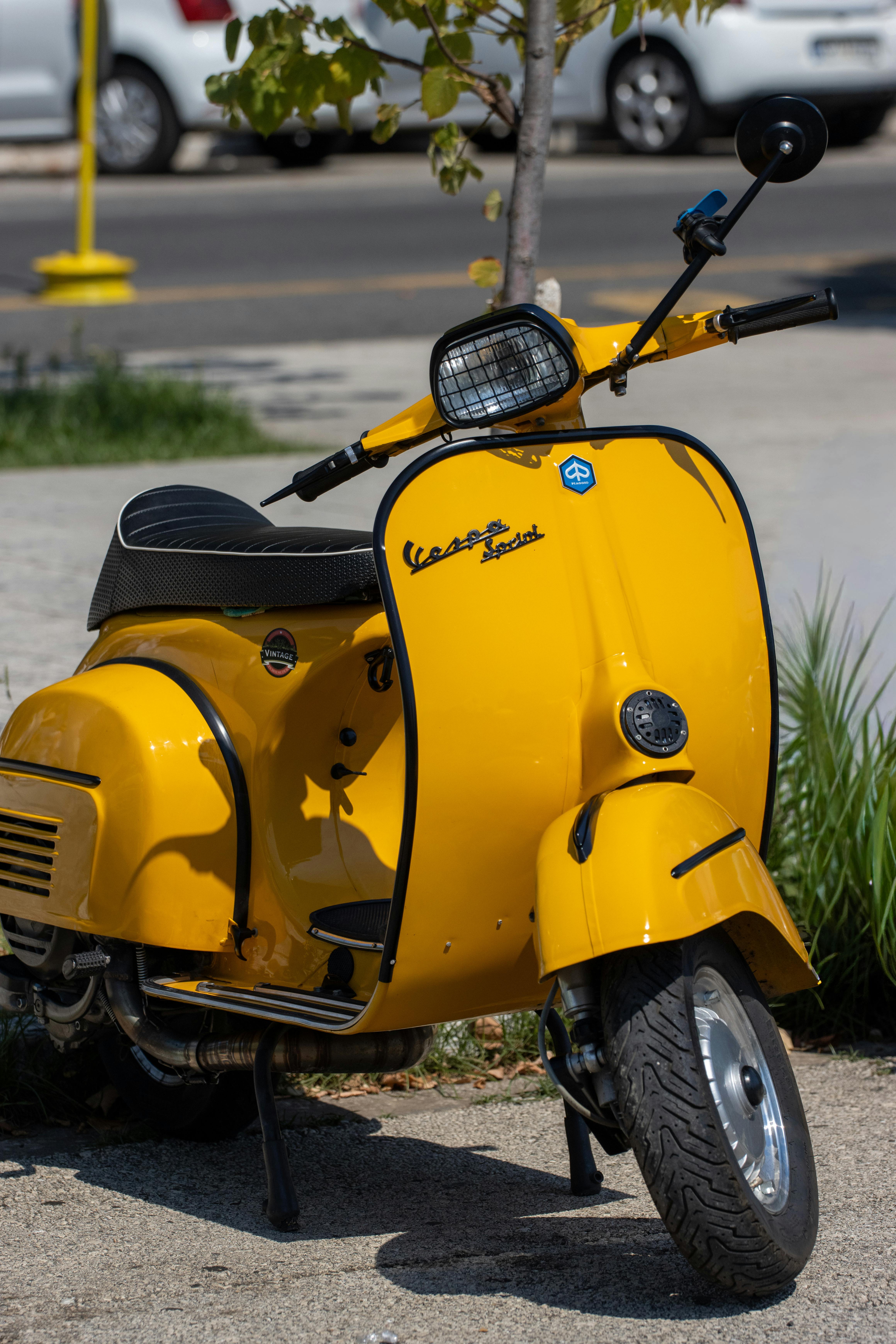 4k Pfp Photos, Download The BEST Free 4k Pfp Stock Photos & HD Images