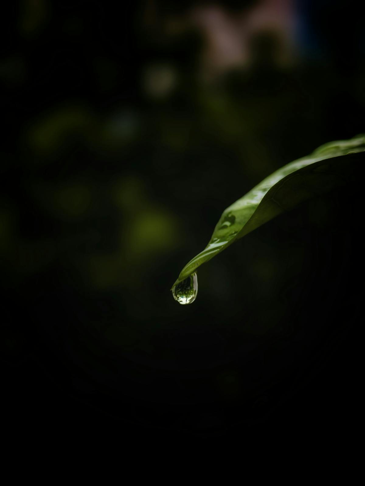 Weather Forcast Background Photos, Download The BEST Free Weather ...