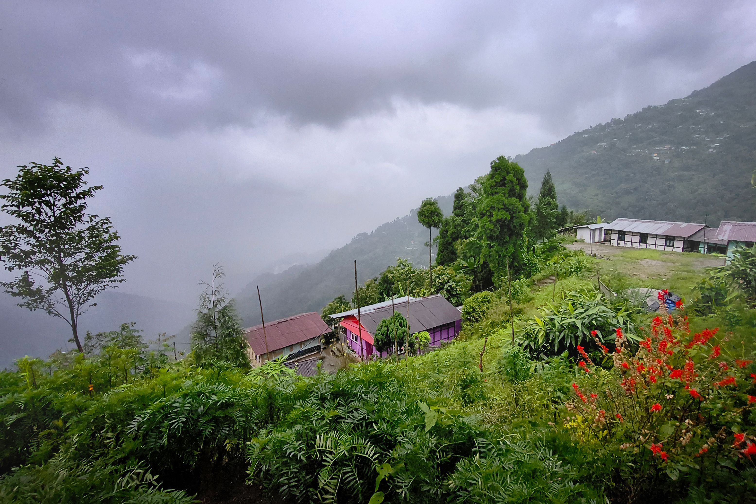 Devjyoti Roy – Fotografia