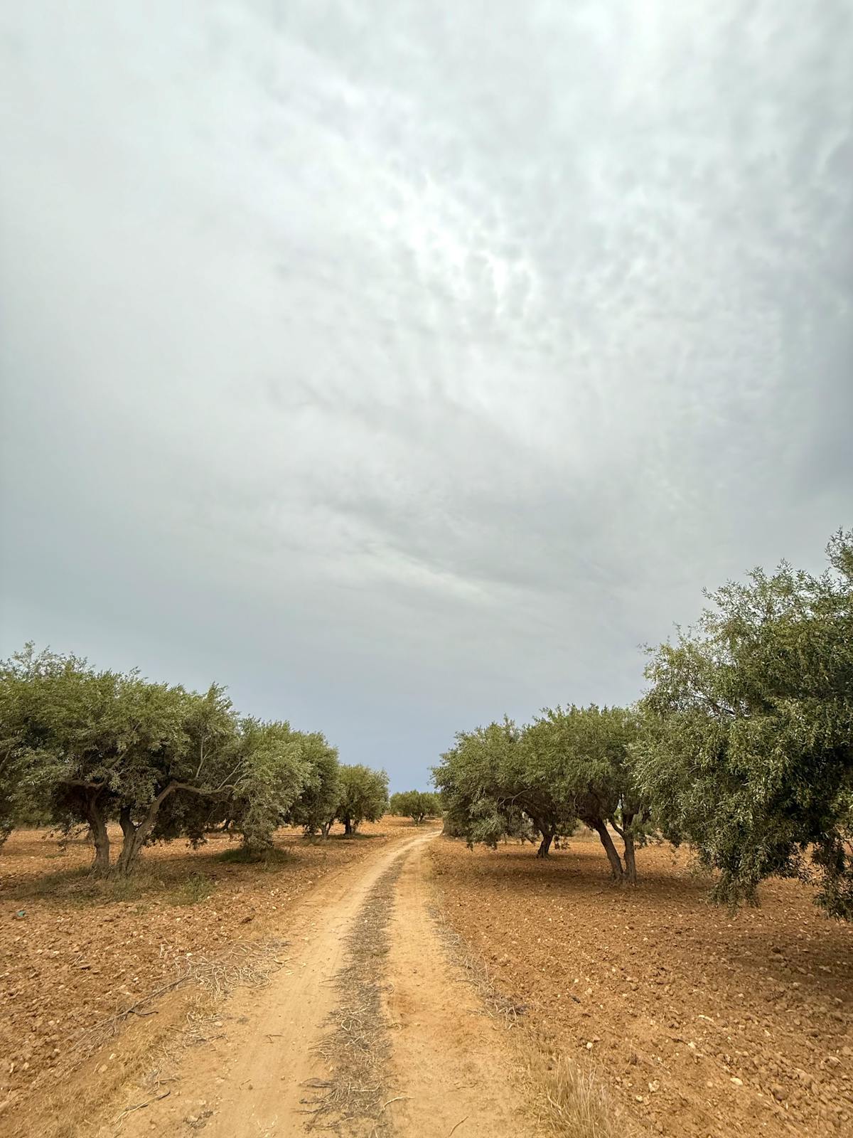 Oliver Tambo Photos, Download The BEST Free Oliver Tambo Stock Photos ...