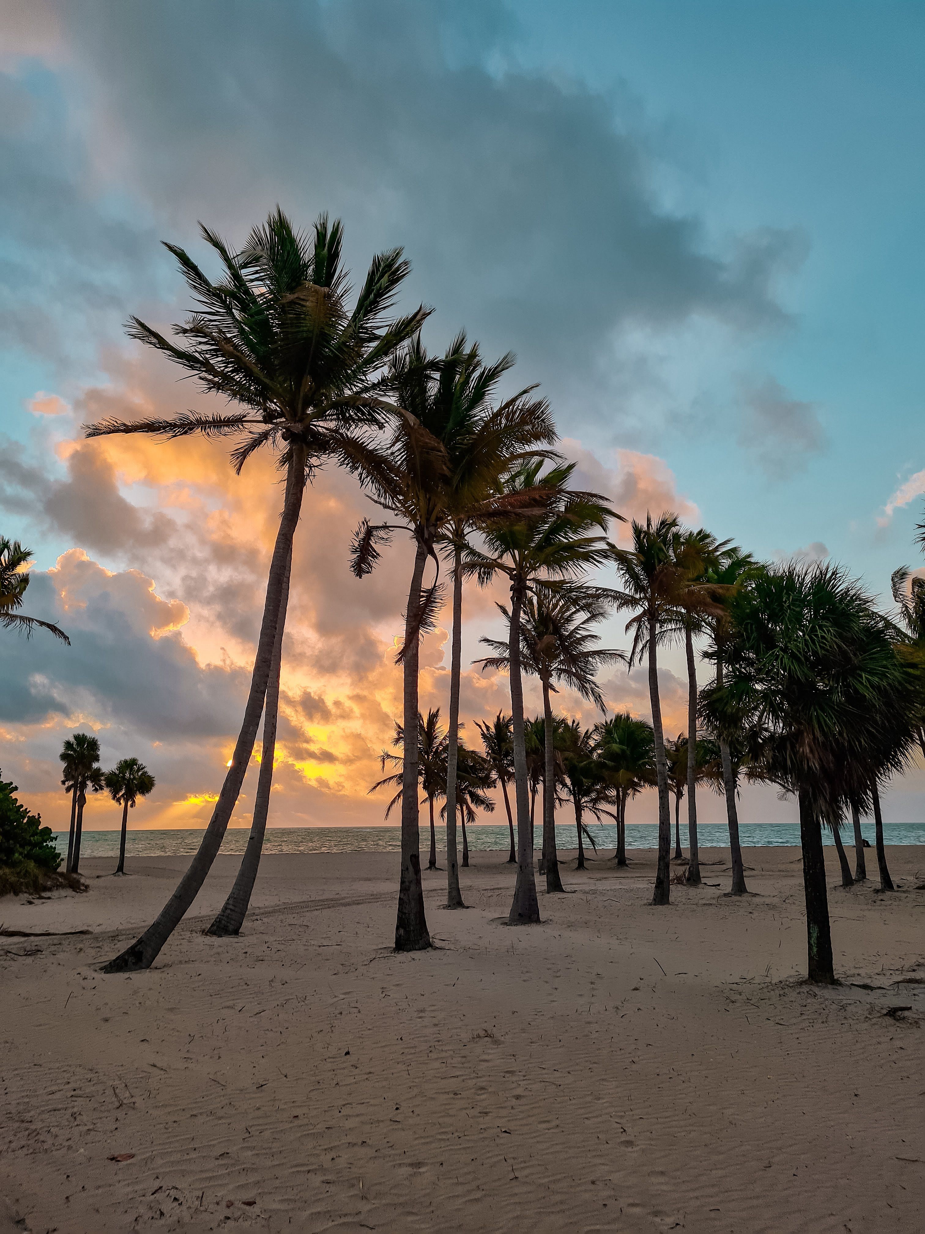 Pôr Do Sol Deslumbrante Em Miami Beach Com Palmeiras · Foto ...