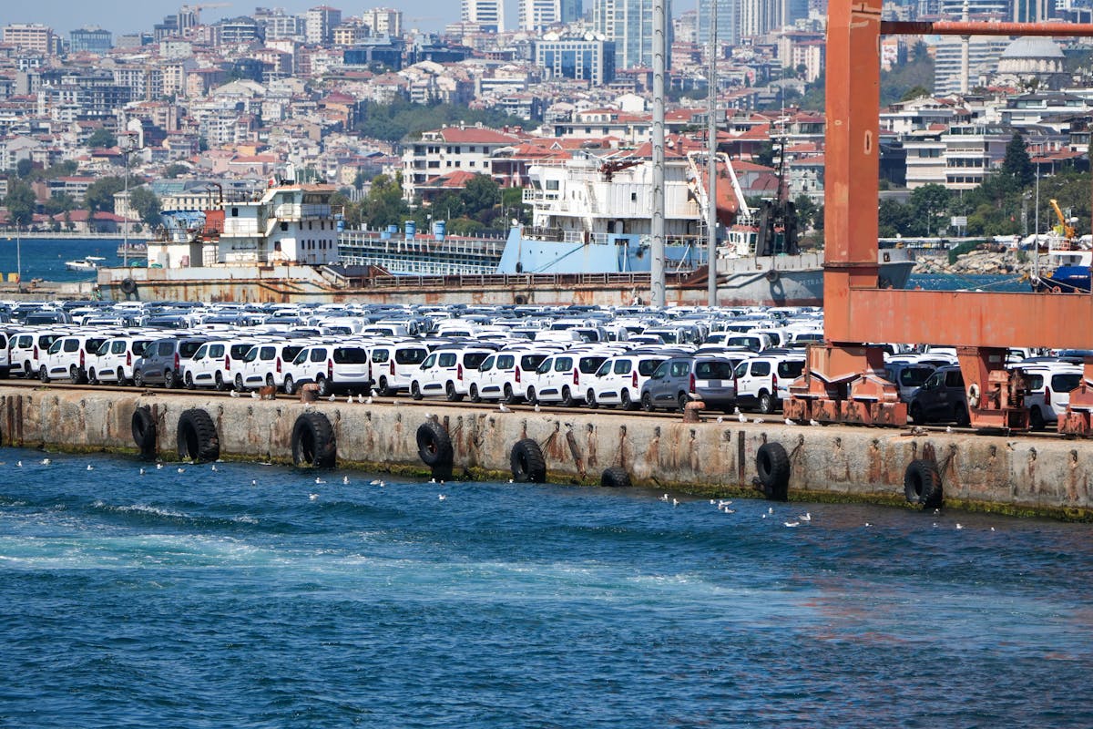 Import And Export Photos, Download The BEST Free Import And Export ...