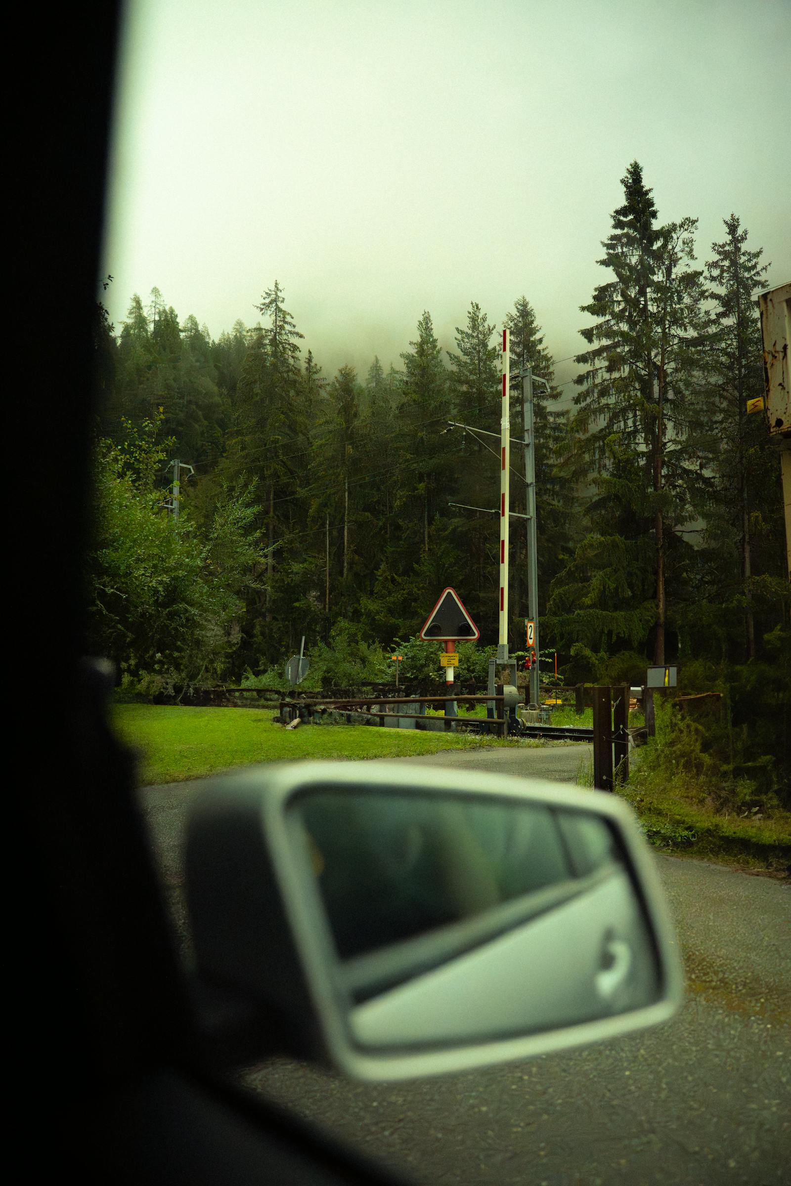 Foggy Forest Photos, Download The BEST Free Foggy Forest Stock Photos ...