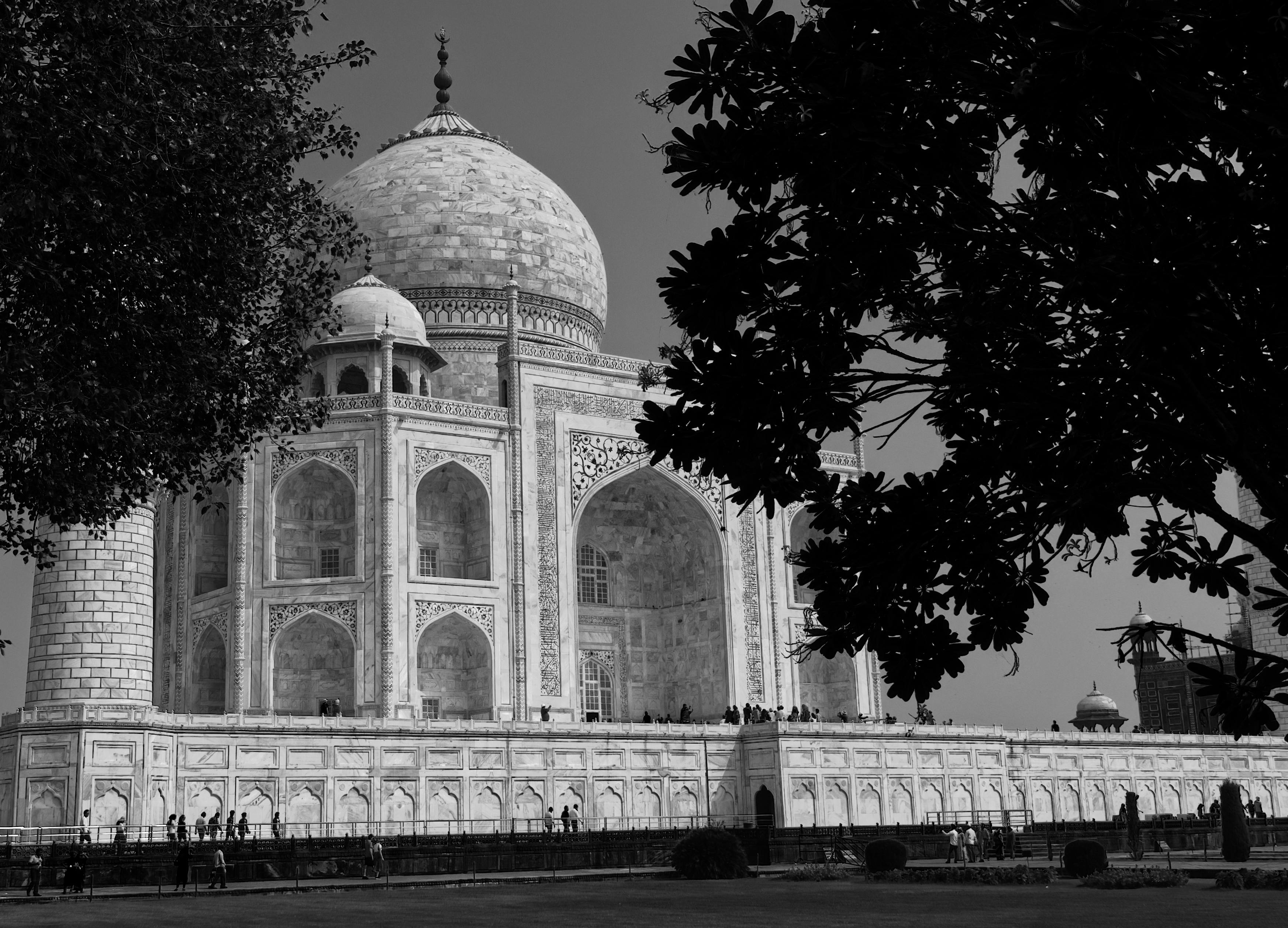 50 000+ beste Turbilder · 100 % gratis nedlasting · Pexels-arkivbilder