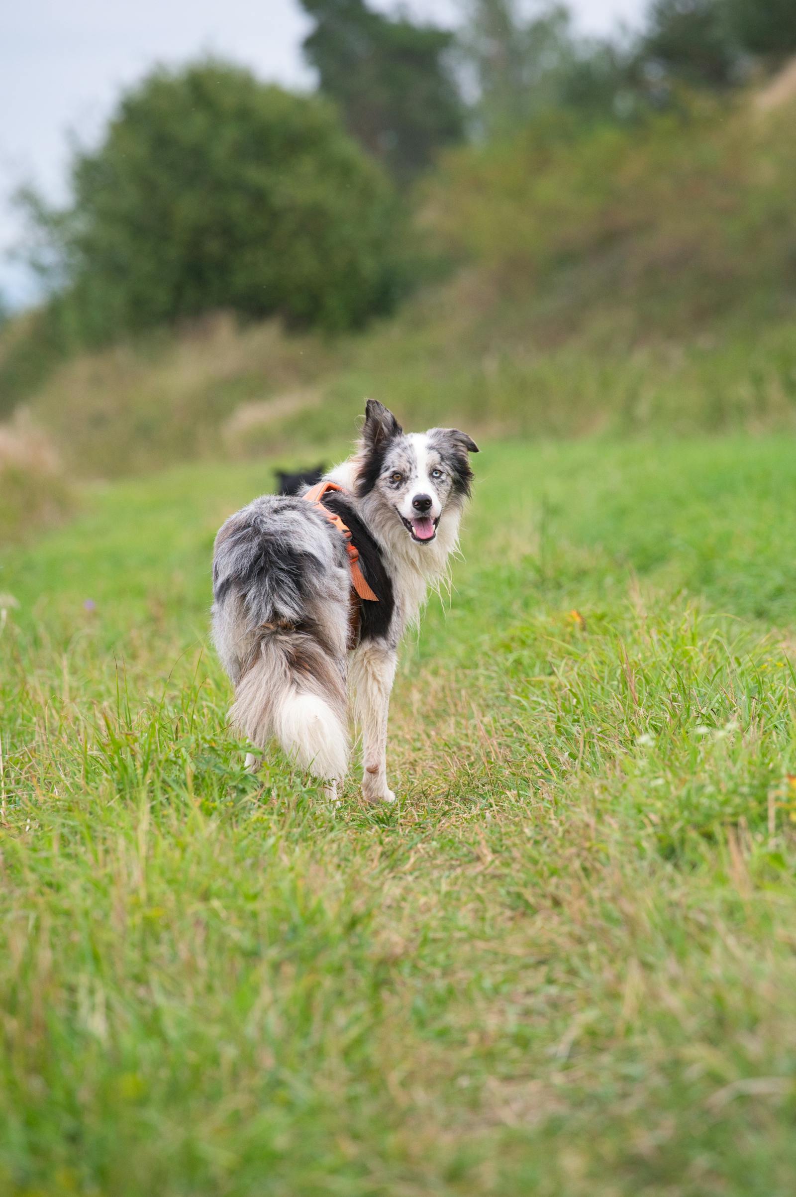 Mia Khalifa Photo Photos, Download The BEST Free Mia Khalifa Photo ...