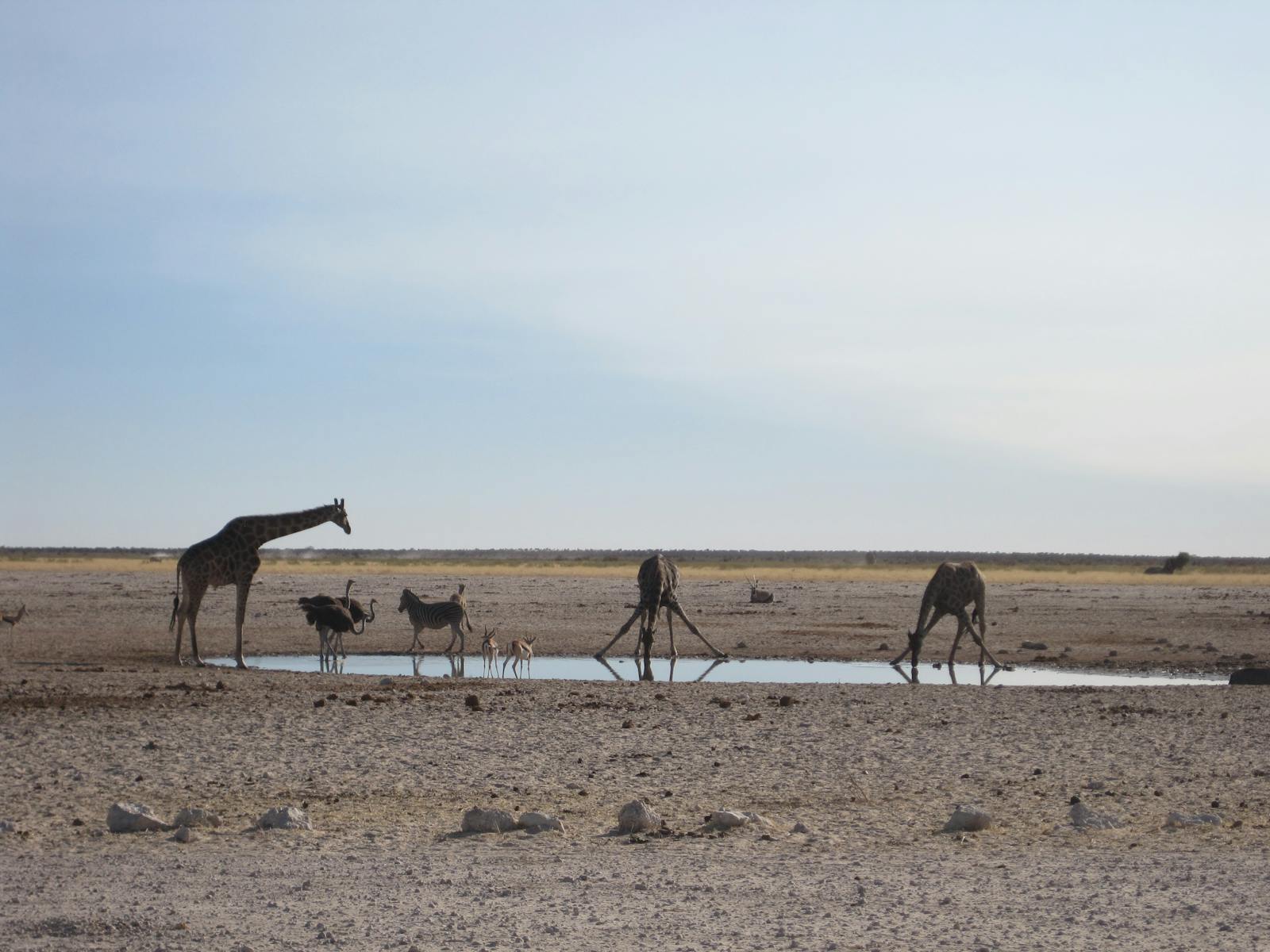 Namibia Photos, Download The BEST Free Namibia Stock Photos & HD Images