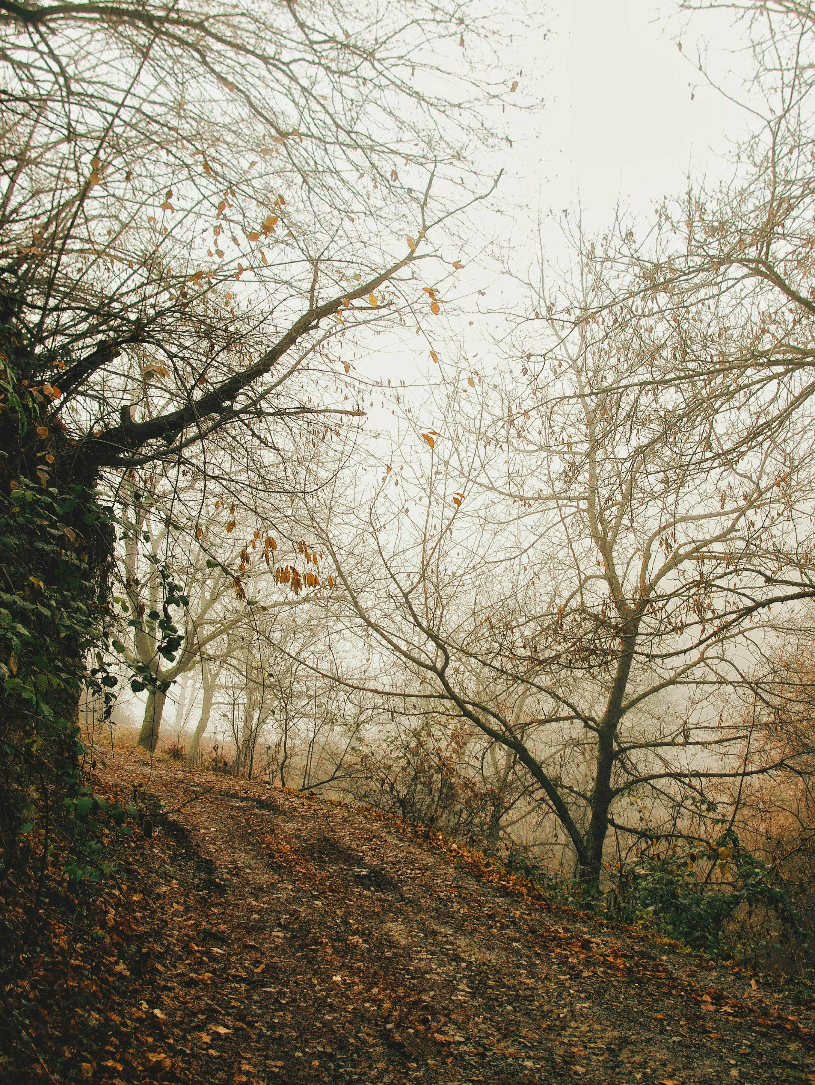 Open Source Photos, Download The BEST Free Open Source Stock Photos ...