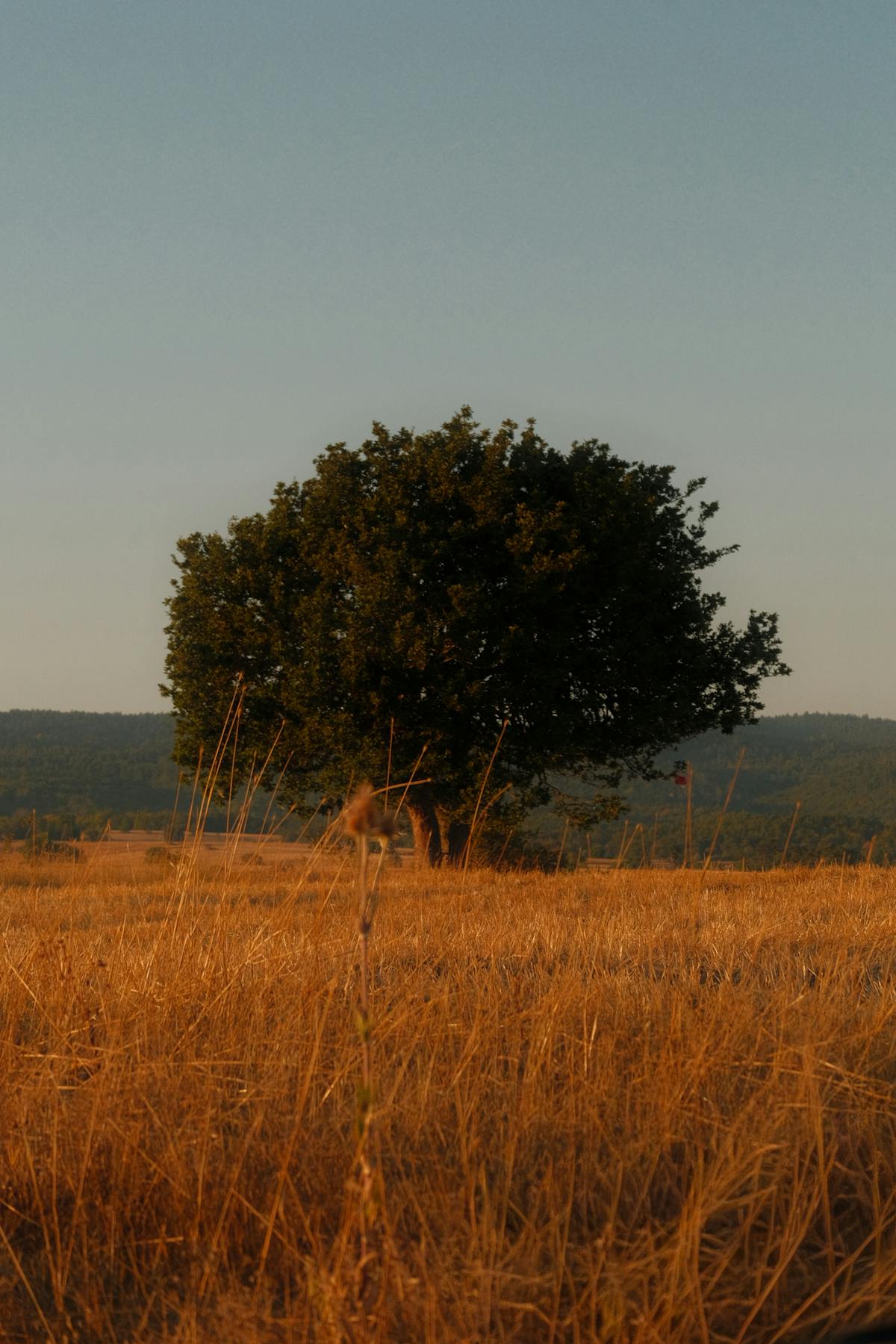 Pixel+Bay Photos, Download The BEST Free Pixel+Bay Stock Photos & HD Images