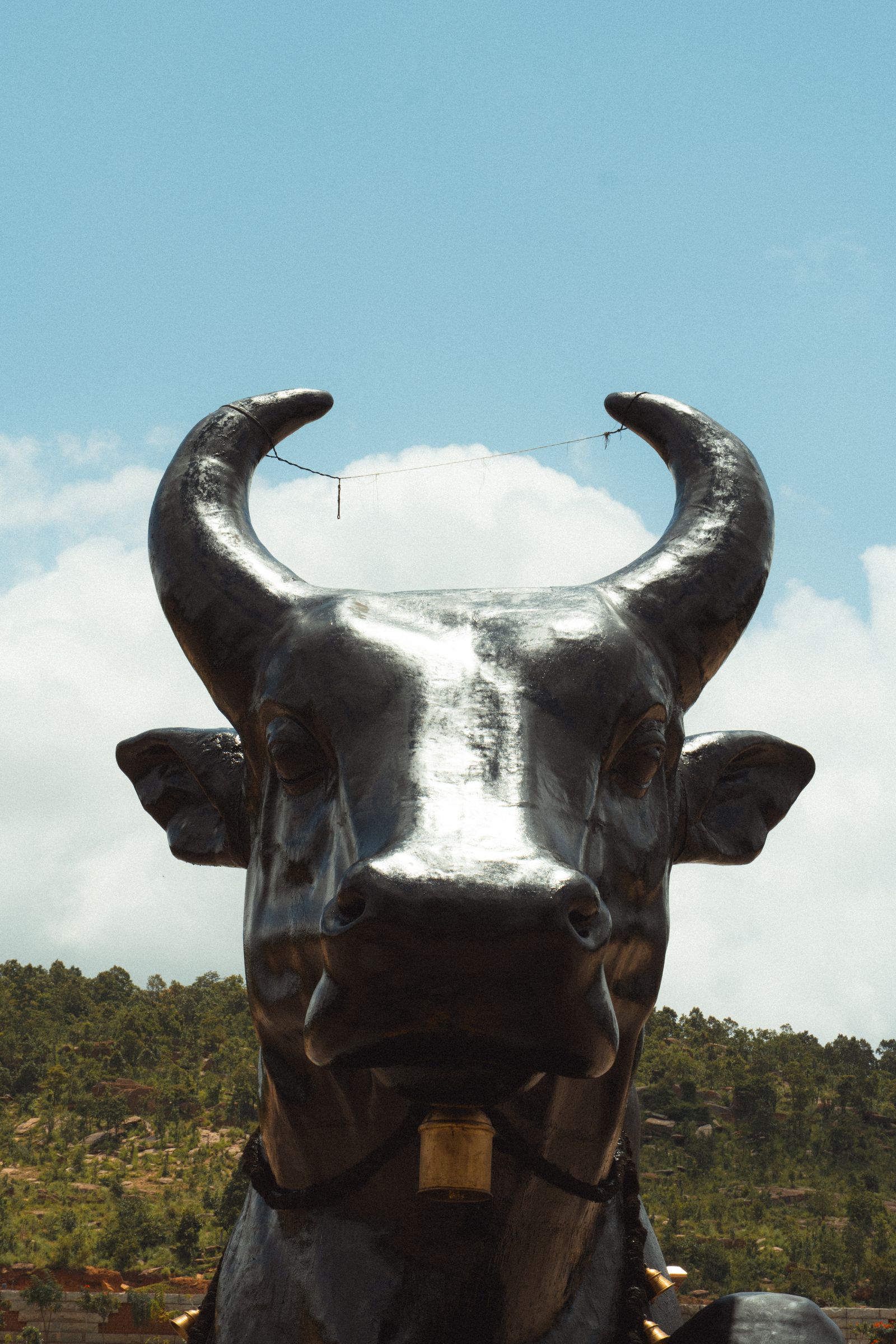 Coorg, Karnataka Photos, Download The BEST Free Coorg, Karnataka Stock ...