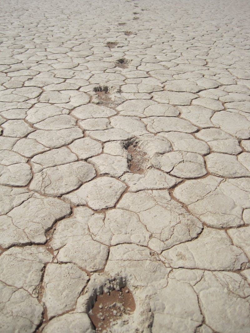 Piper+Rockelle+Bikini+Feet Photos, Download The BEST Free Piper ...