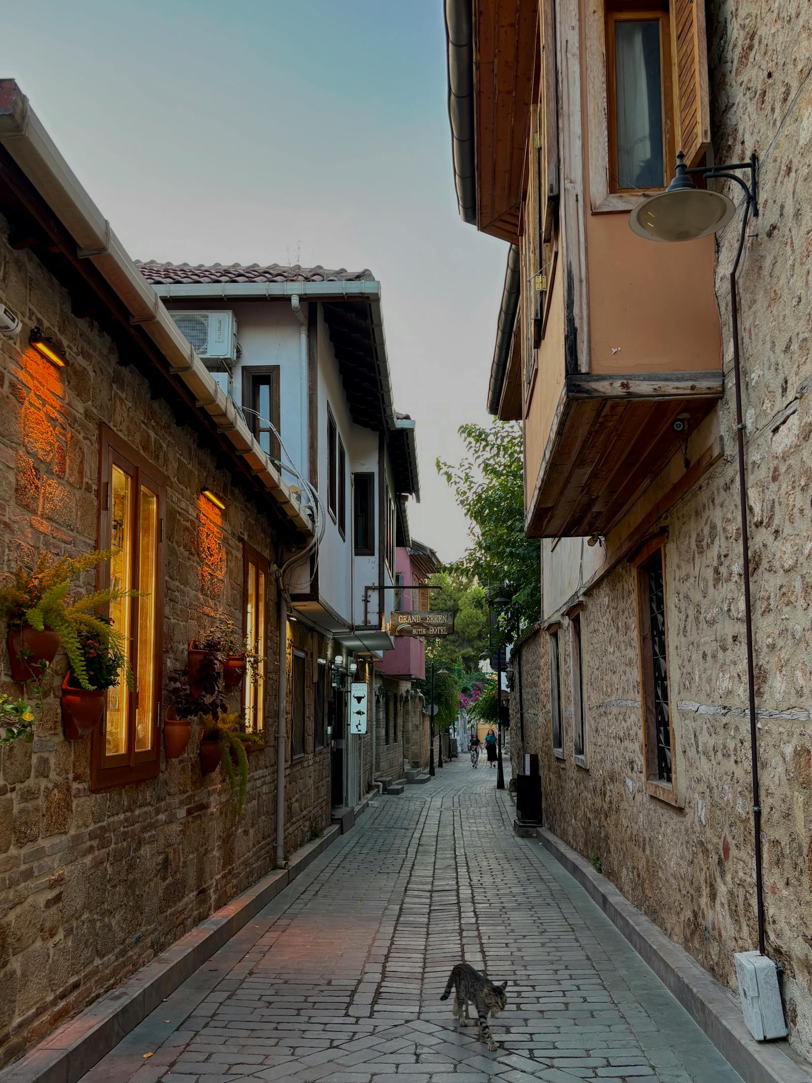 Wander Photos, Download The BEST Free Wander Stock Photos & HD Images