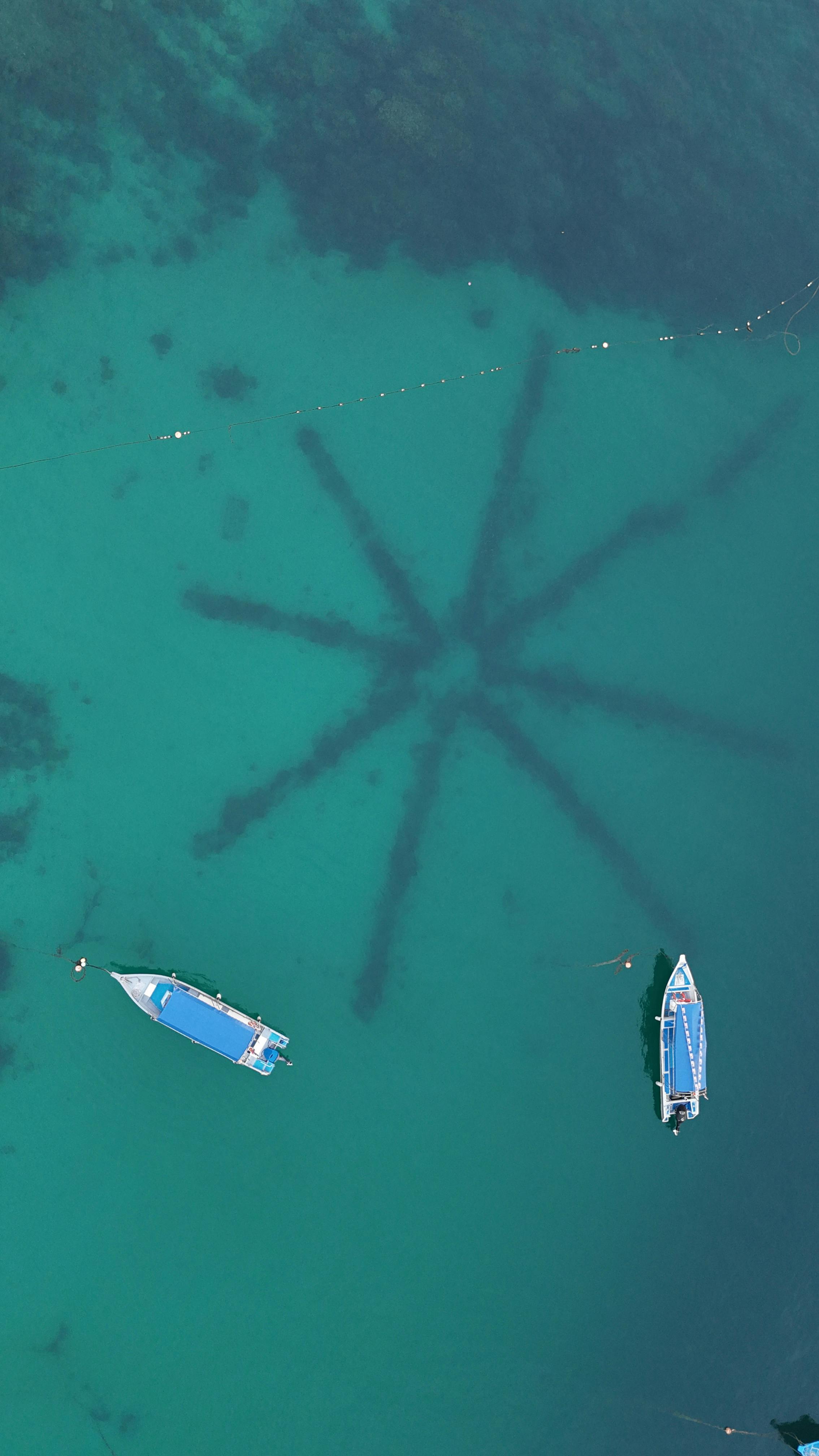 Pixel+Bay Photos, Download The BEST Free Pixel+Bay Stock Photos & HD Images