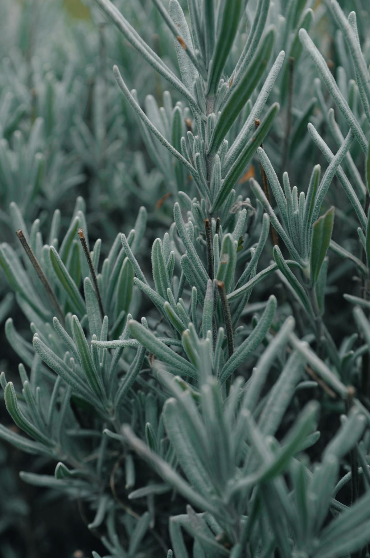 2,041,816+以上の無料雪景色画像