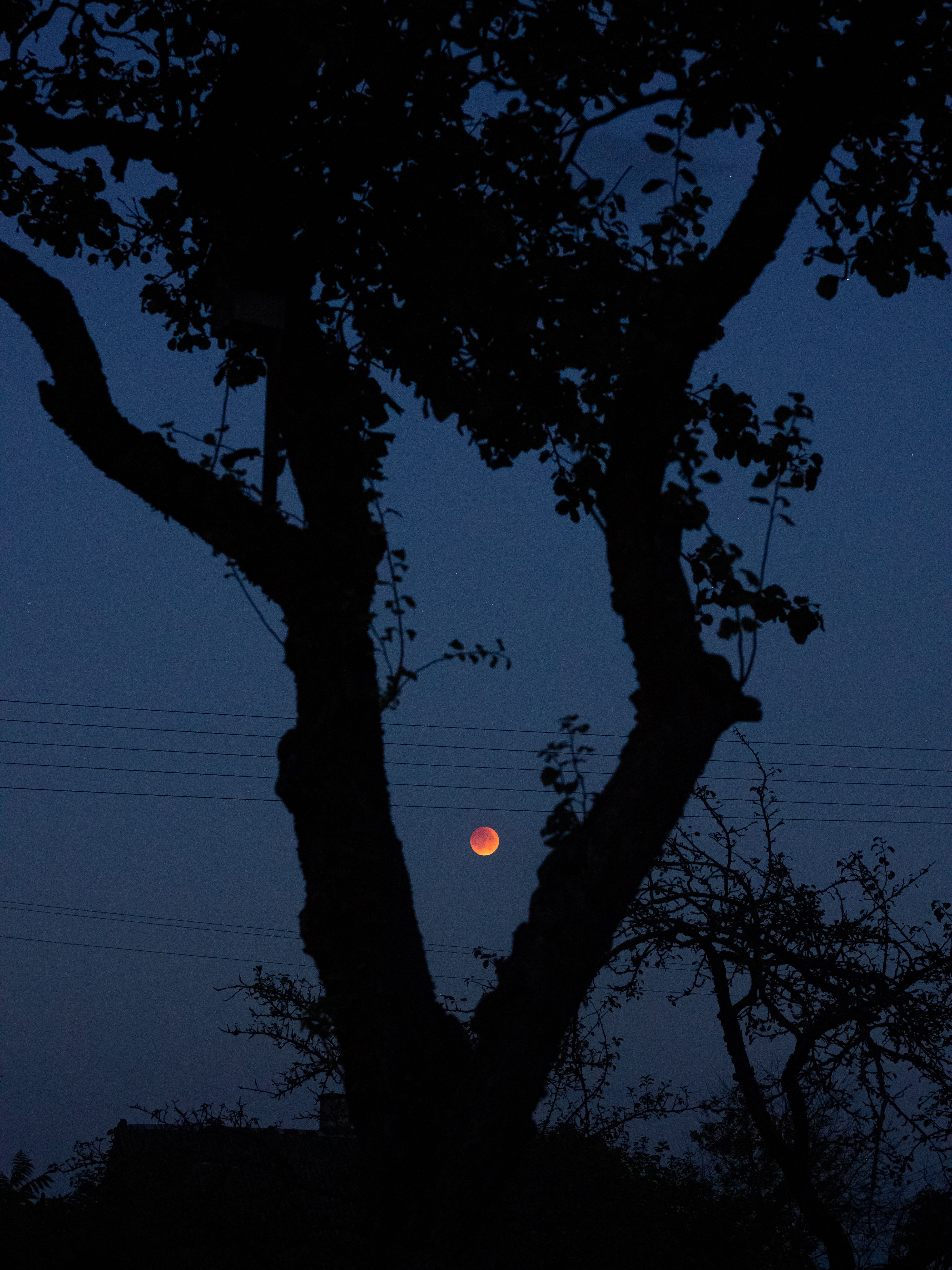 Moon Pfp Photos, Download The BEST Free Moon Pfp Stock Photos & HD Images