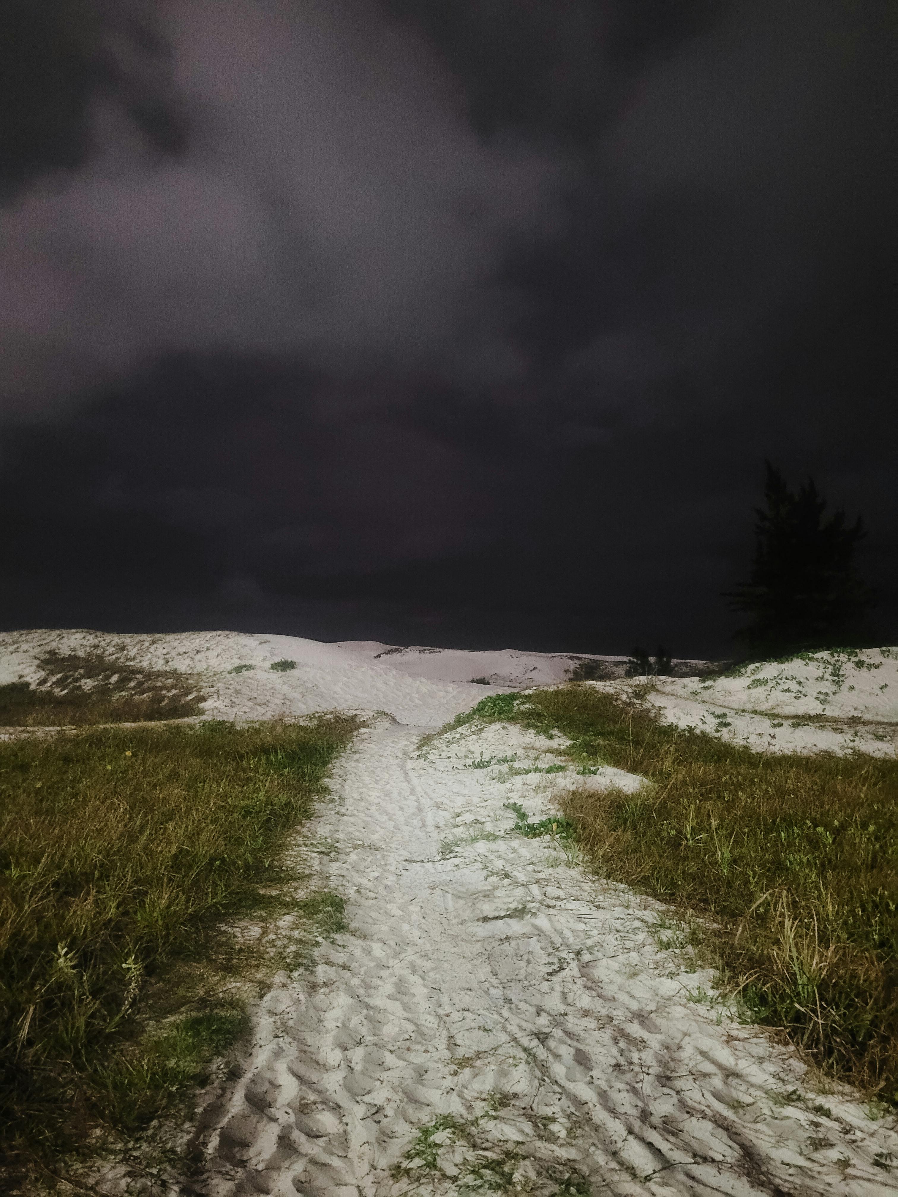 Brazilian+Bodybuilder Photos, Download The BEST Free Brazilian ...