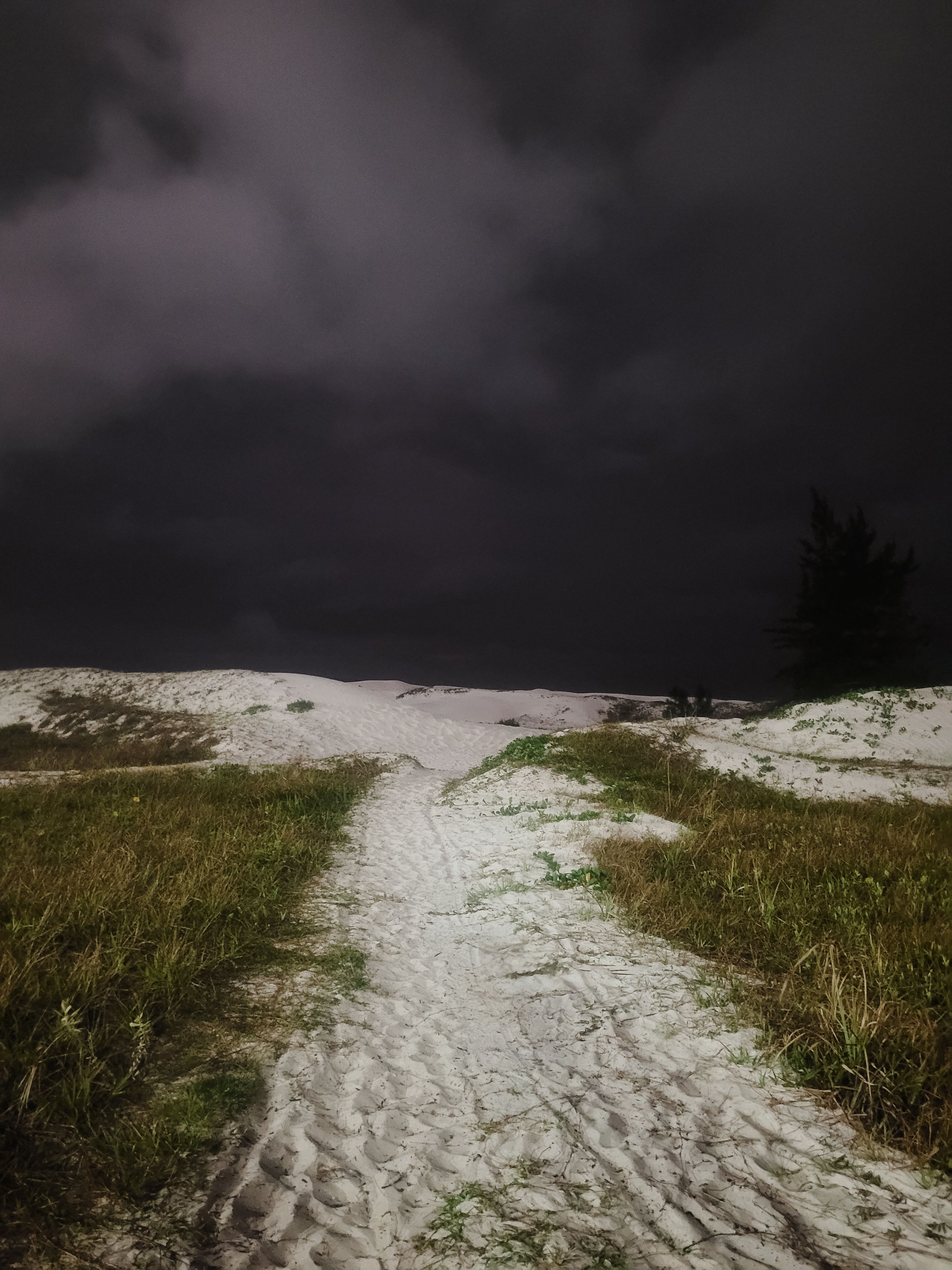 Serene Night Landscape with Sandy Beach Path · Free Stock Photo