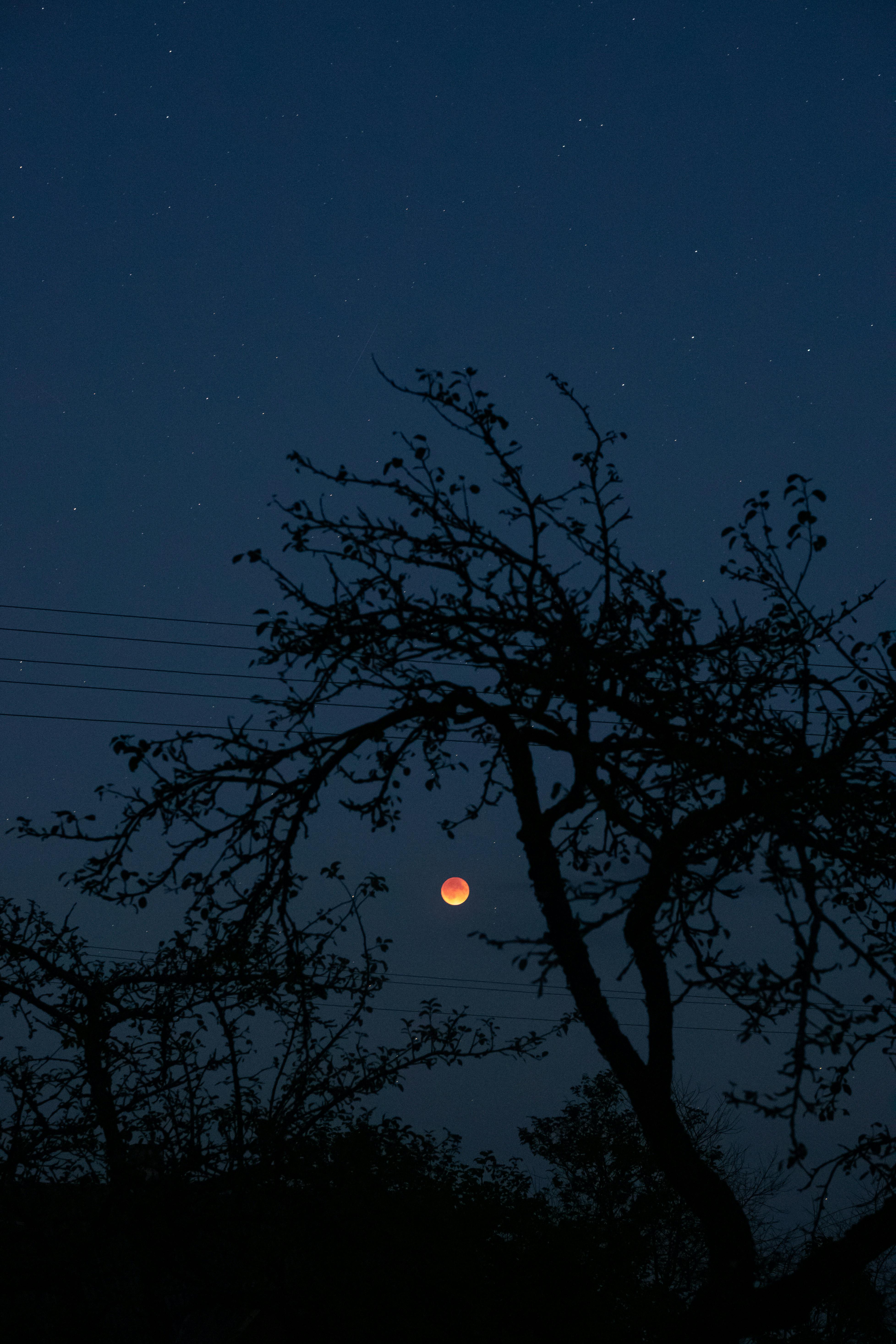 Moon Pfp Photos, Download The BEST Free Moon Pfp Stock Photos & HD Images