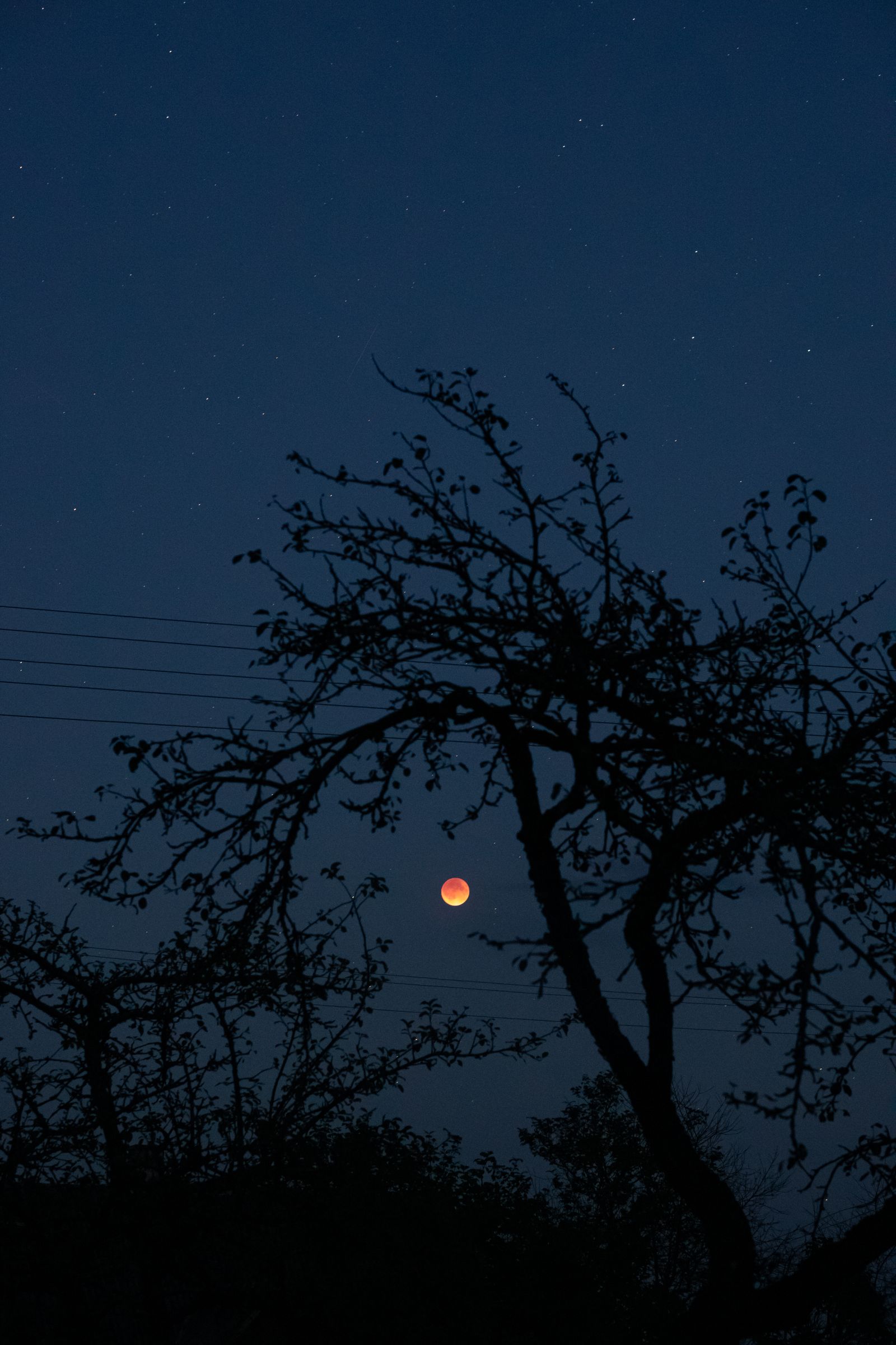 Moon Landscape Photos, Download The BEST Free Moon Landscape Stock ...