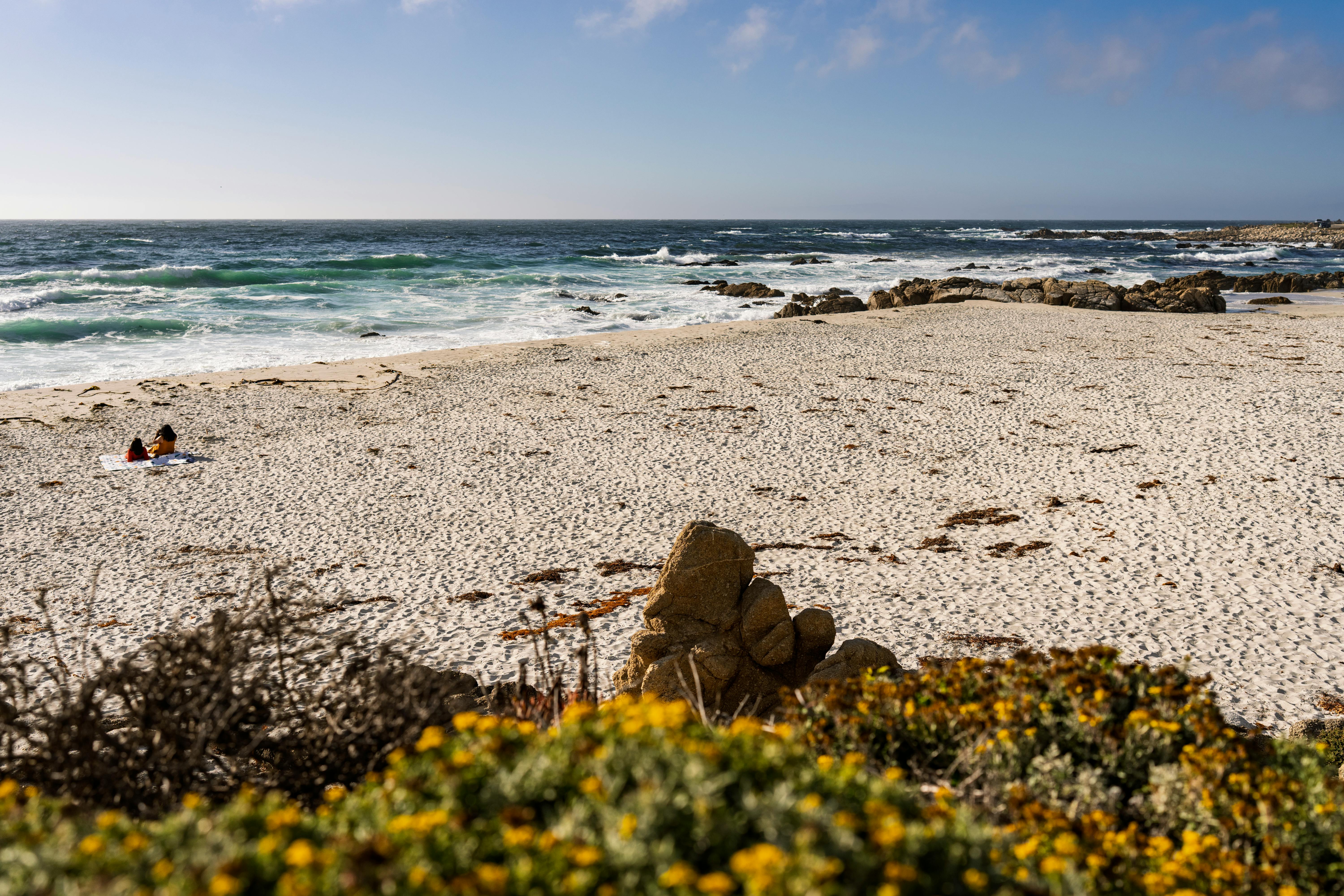 Pixel+Bay Photos, Download The BEST Free Pixel+Bay Stock Photos & HD Images