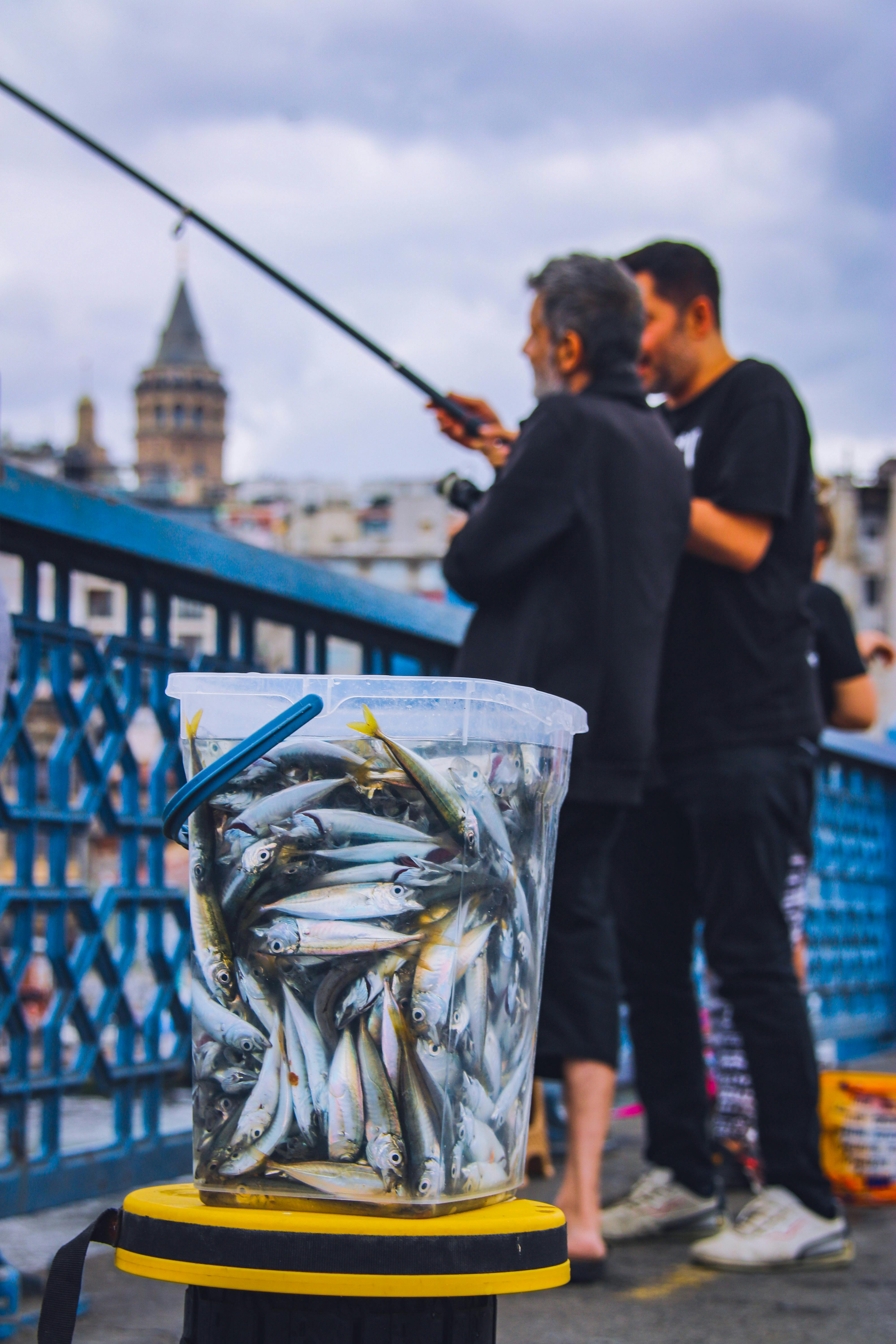 Wife+Bucket+Pictures Photos, Download The BEST Free Wife+Bucket ...