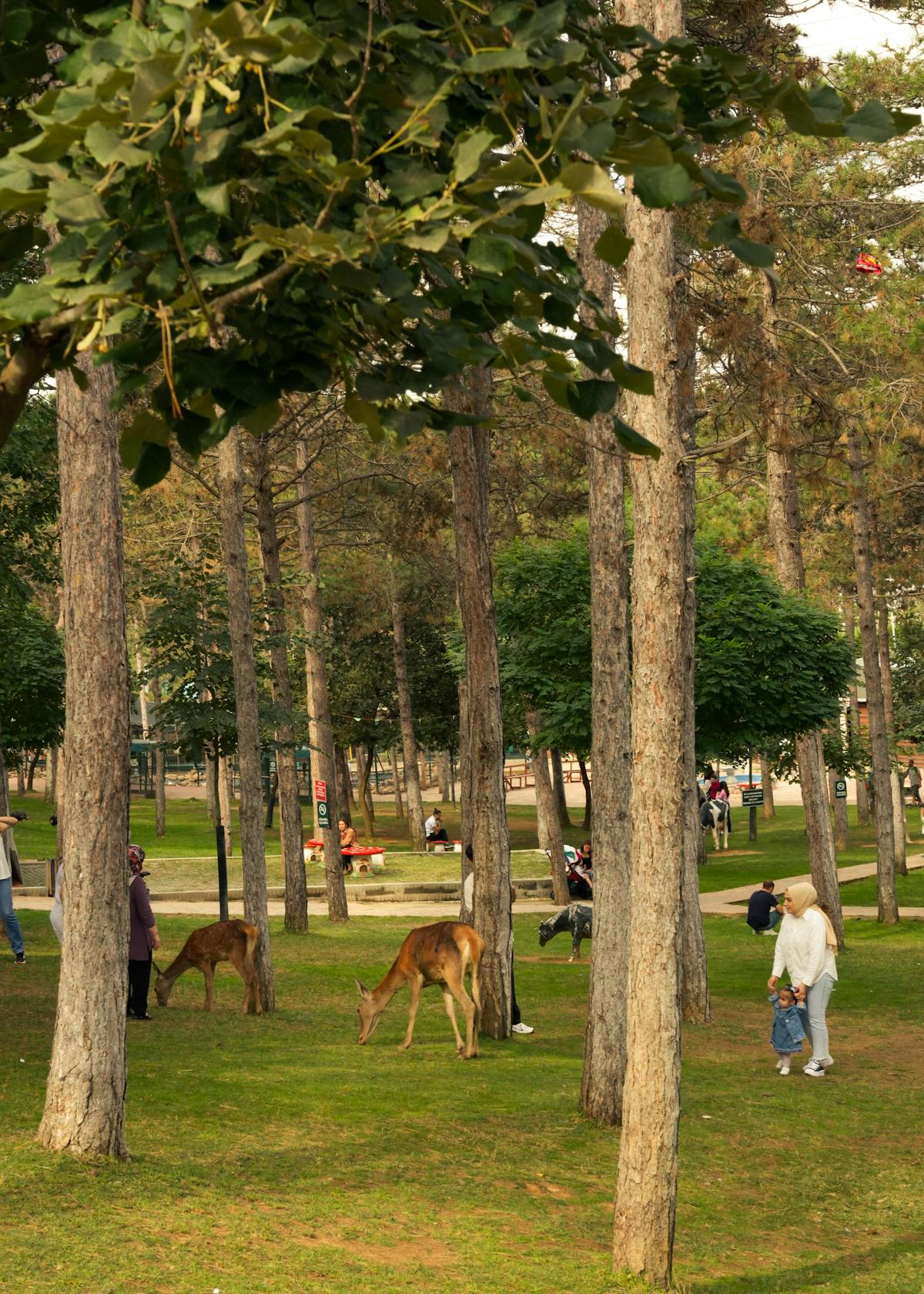 Landscape With People Photos, Download The BEST Free Landscape With ...