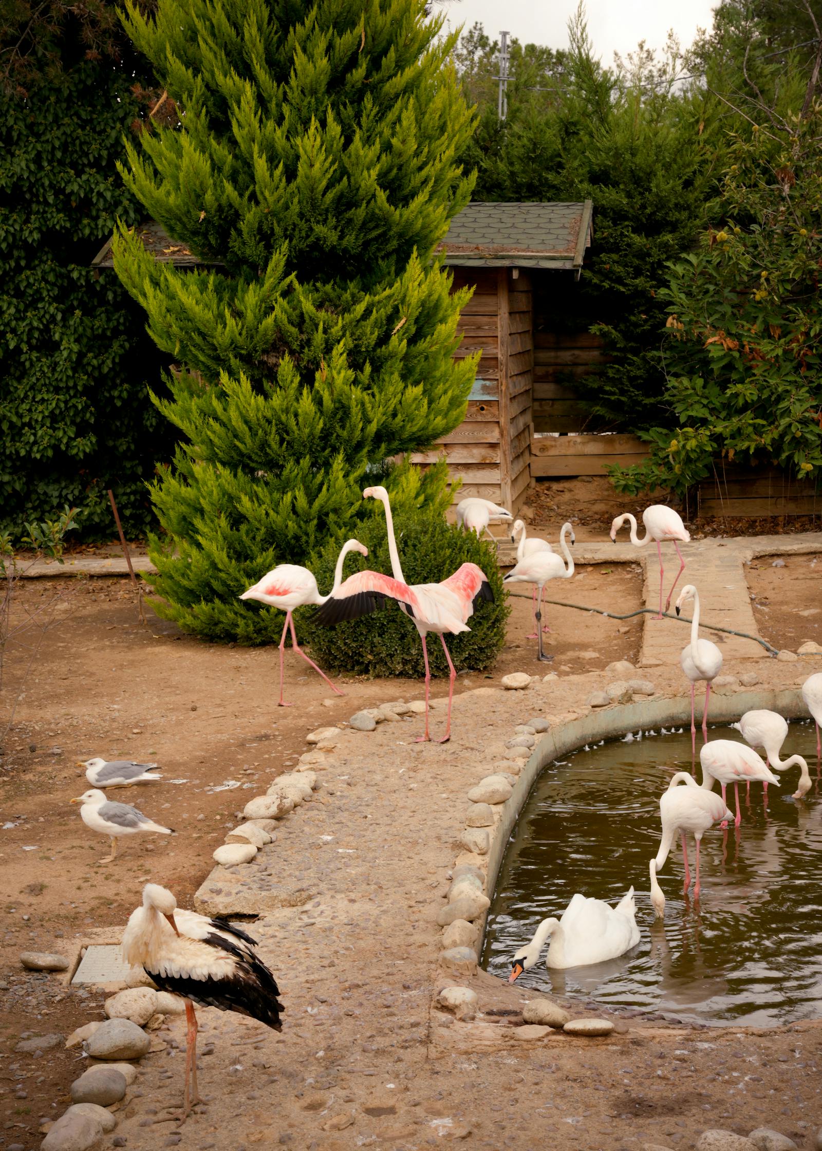 Legs+Kat+Timpf Photos, Download The BEST Free Legs+Kat+Timpf Stock ...