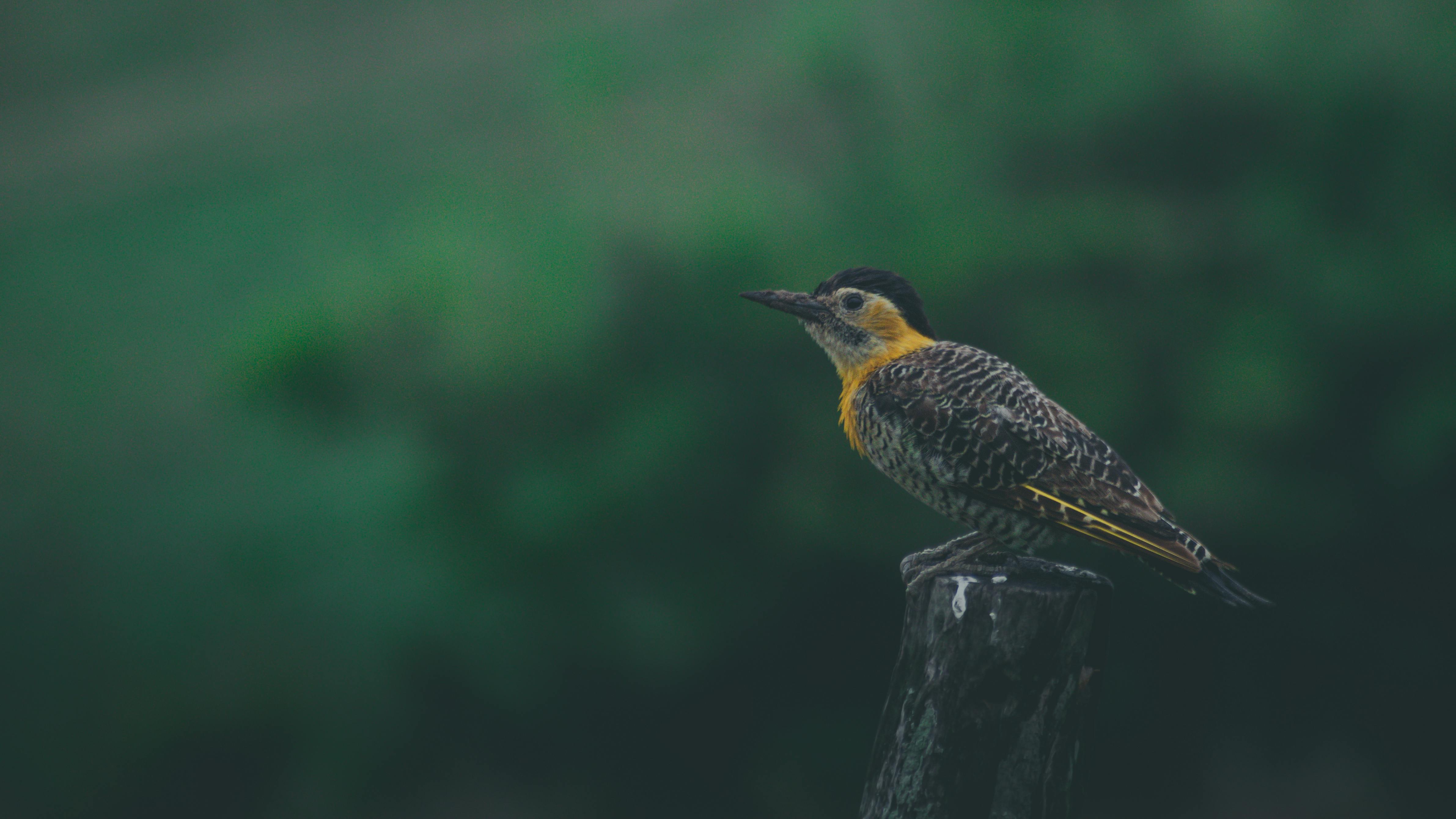 Tuff+Profile+Pics Photos, Download The BEST Free Tuff+Profile+Pics ...