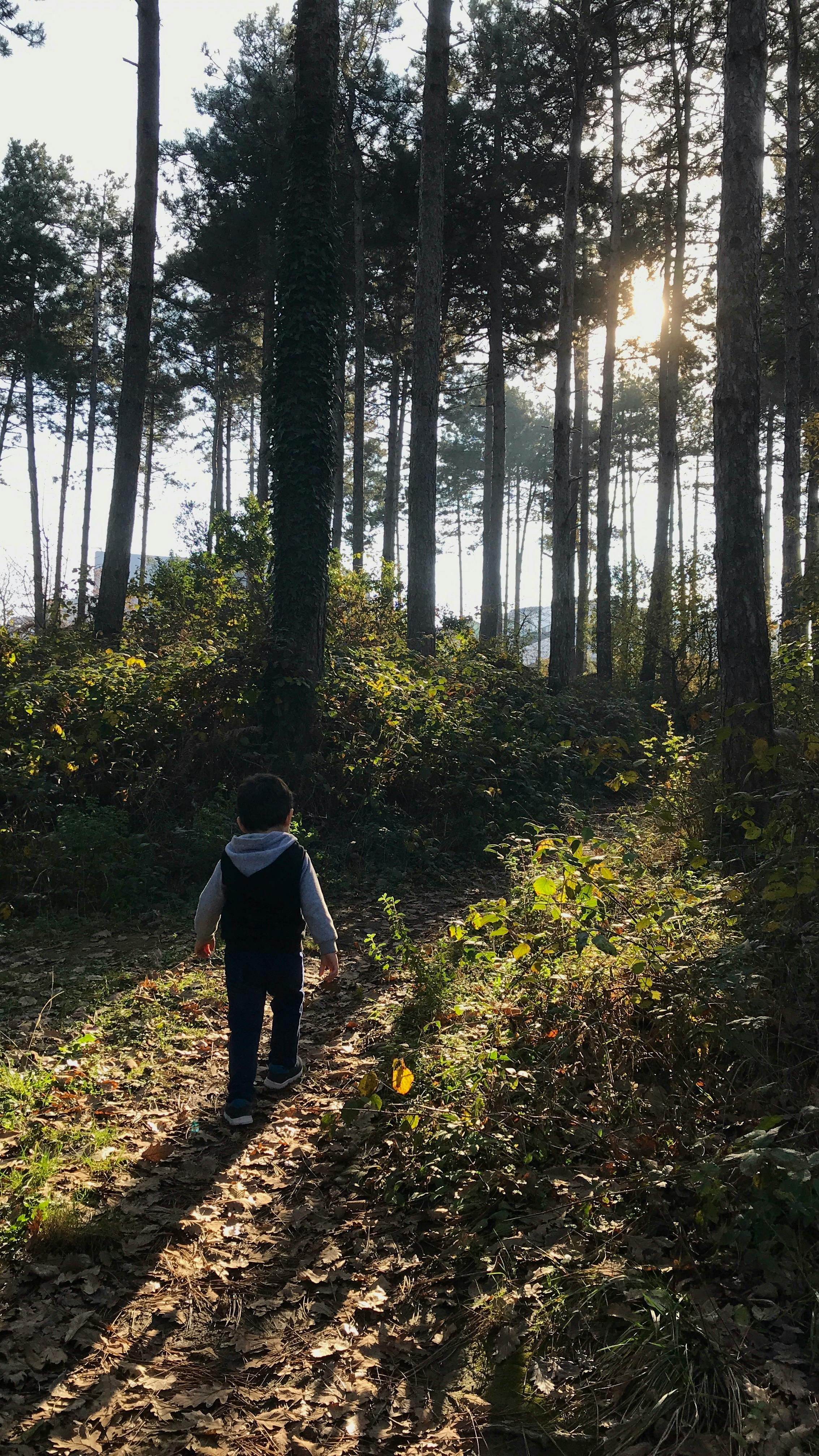 Wander Photos, Download The BEST Free Wander Stock Photos & HD Images