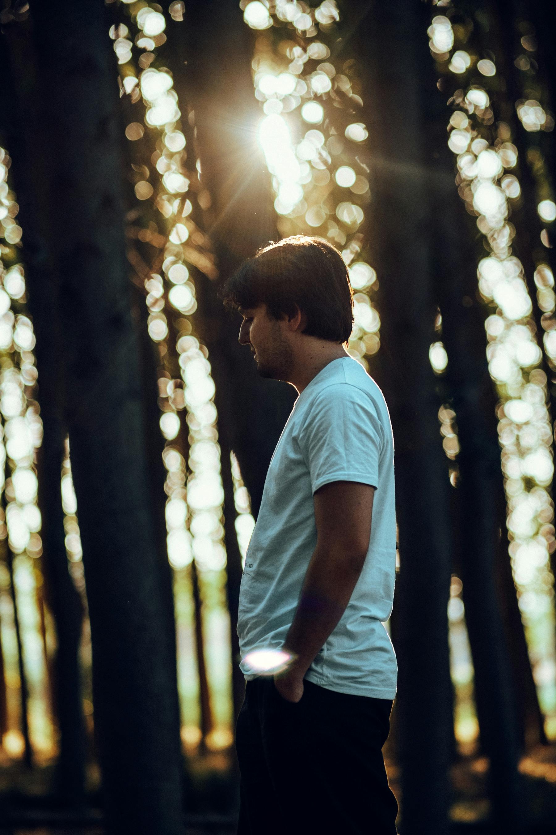 Ambient Photos, Download The BEST Free Ambient Stock Photos & HD Images