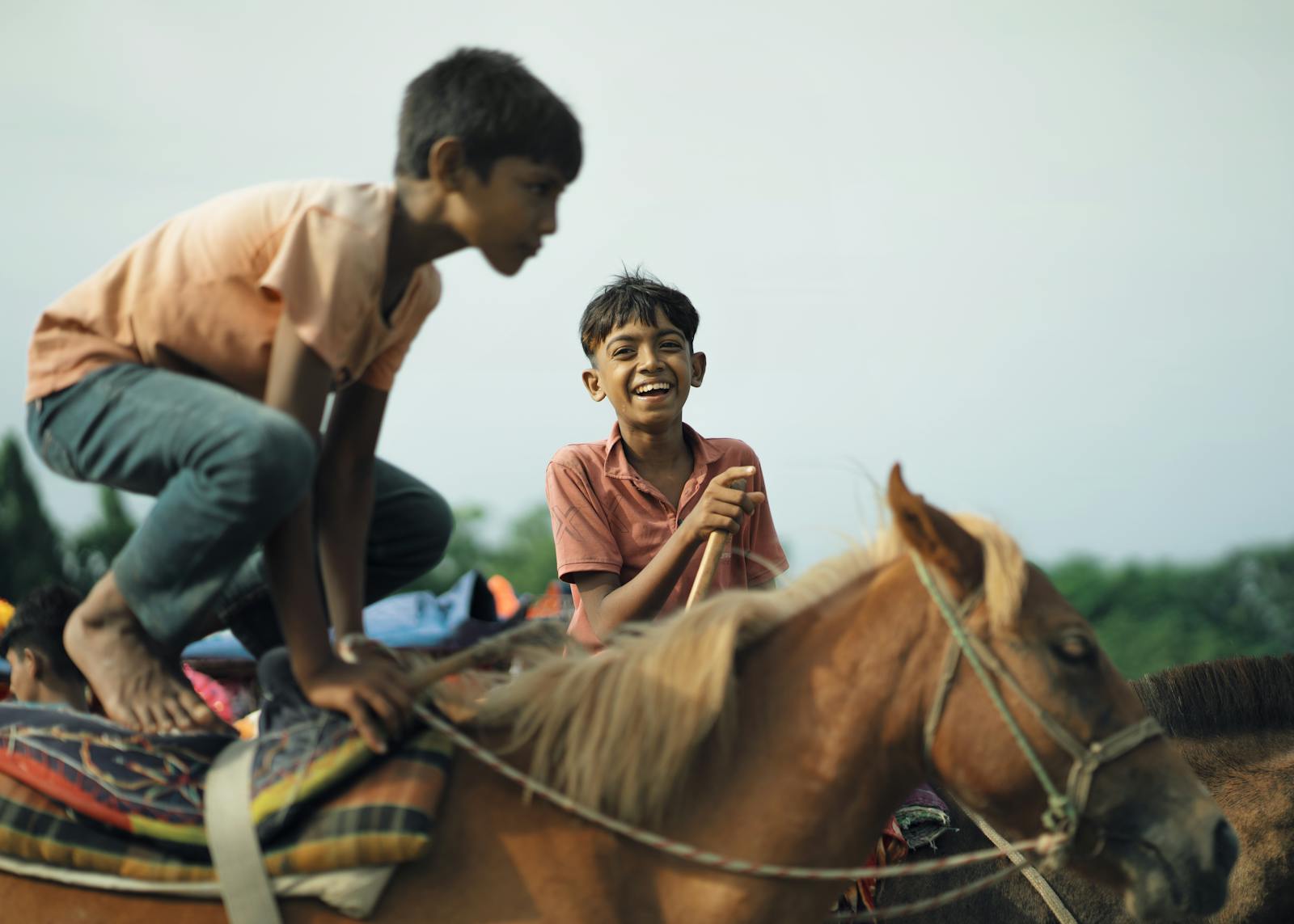 Big+Areolas Photos, Download The BEST Free Big+Areolas Stock Photos ...