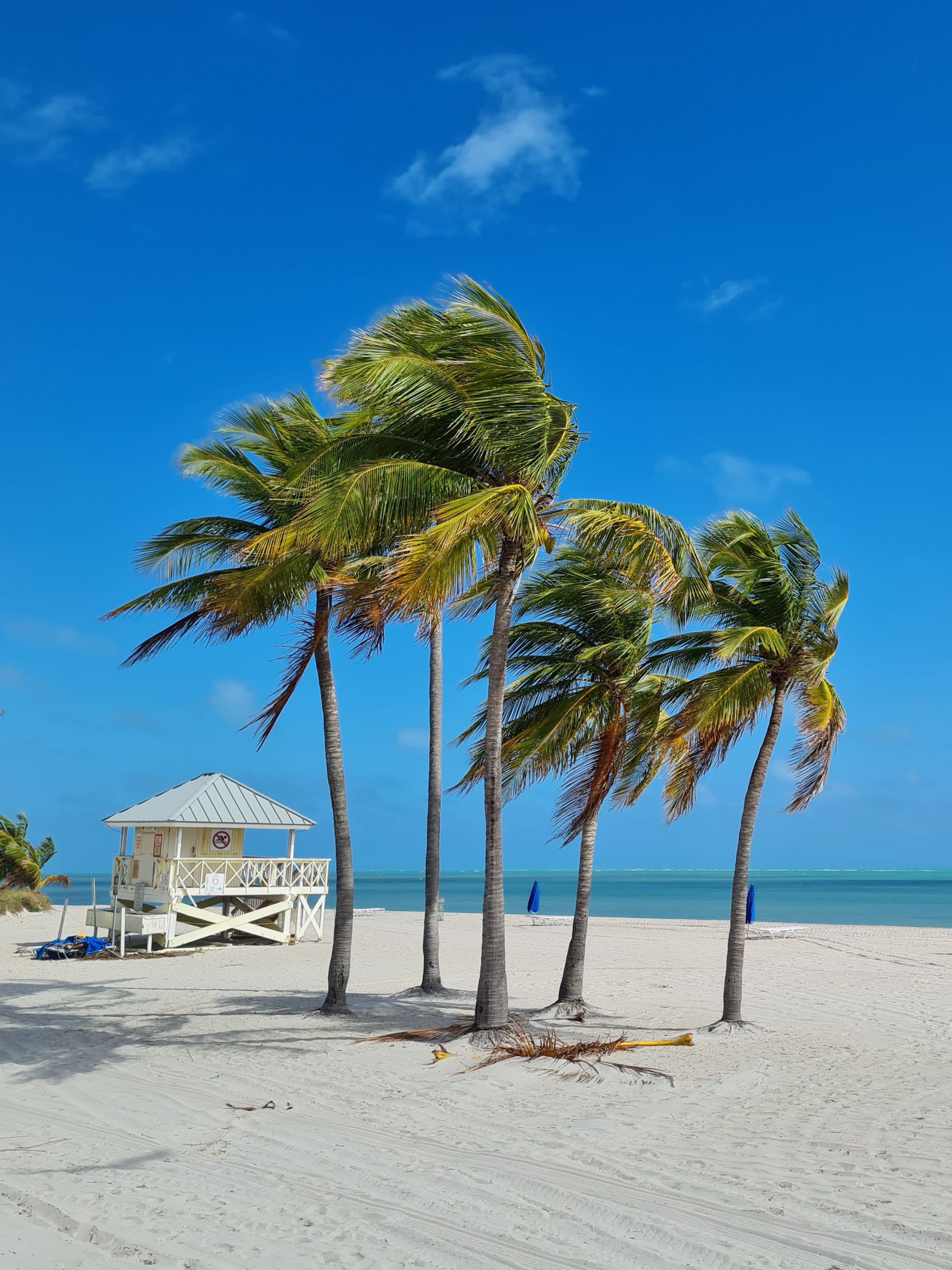 Florida Vacation Photos, Download The BEST Free Florida Vacation Stock ...