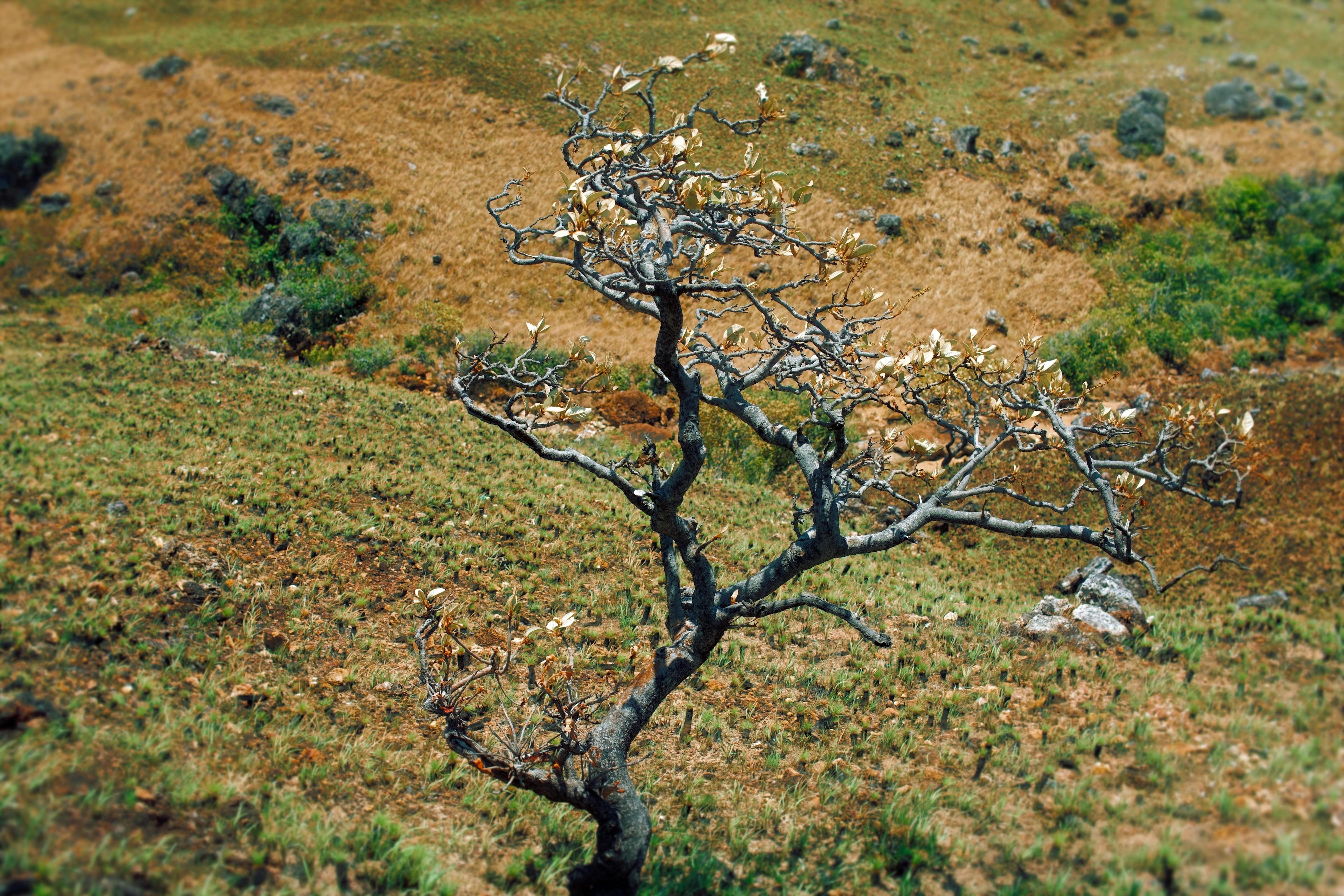 Ambient Photos, Download The BEST Free Ambient Stock Photos & HD Images