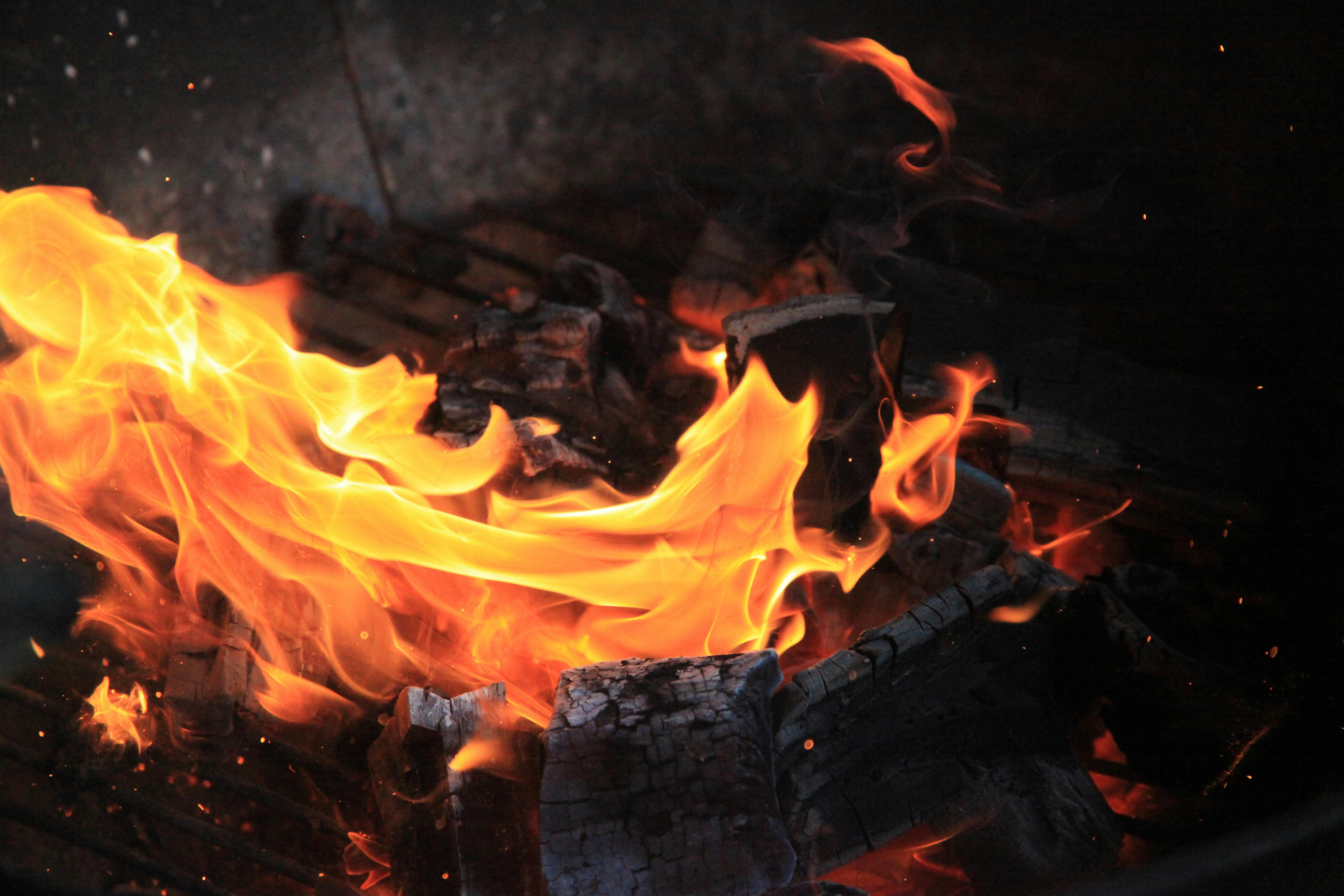 Romantic+Kisses+On+Neck+Gif Photos, Download The BEST Free Romantic ...