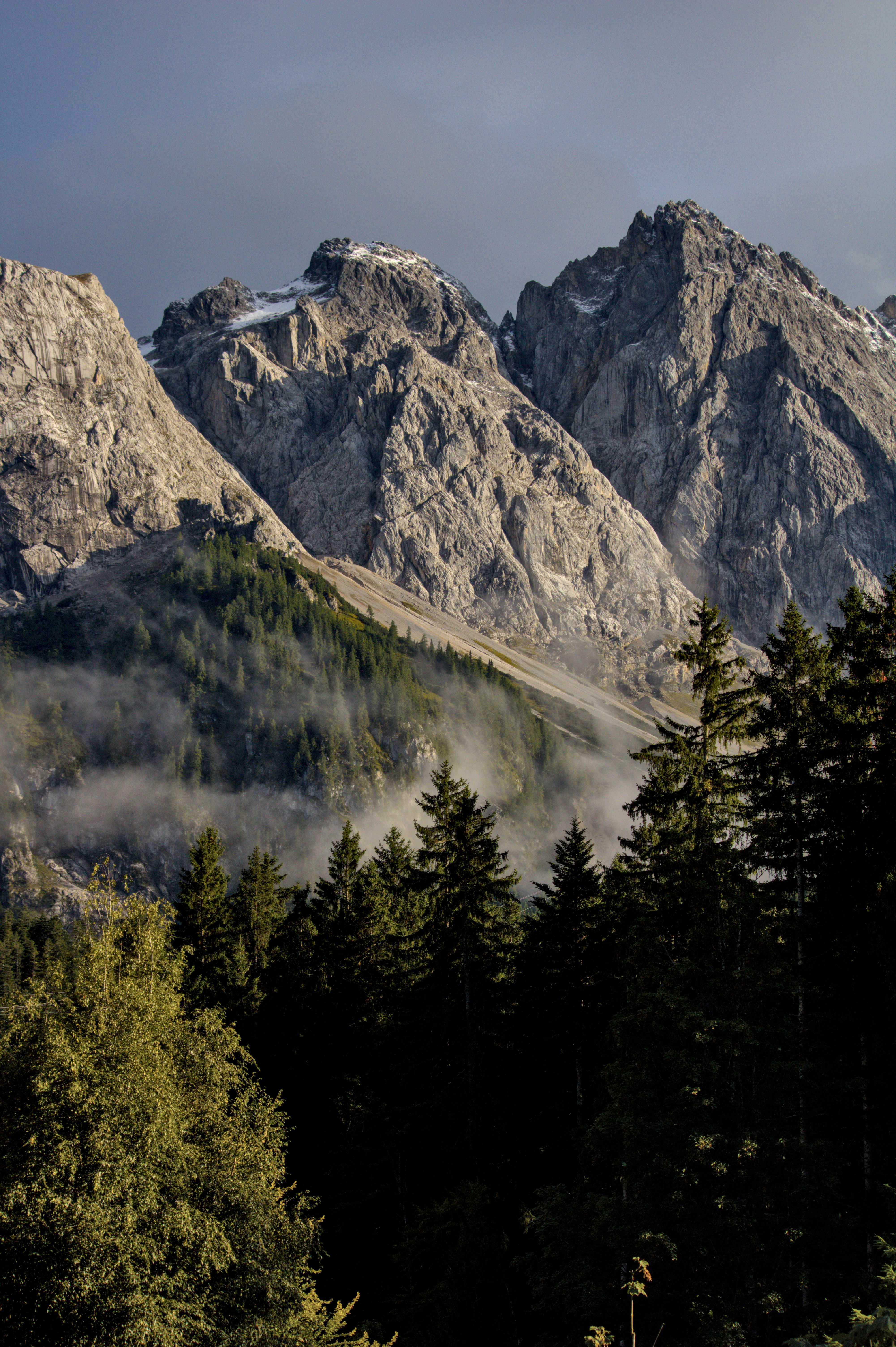 Majestic Alpine Mountains with Pine Forest · Free Stock Photo