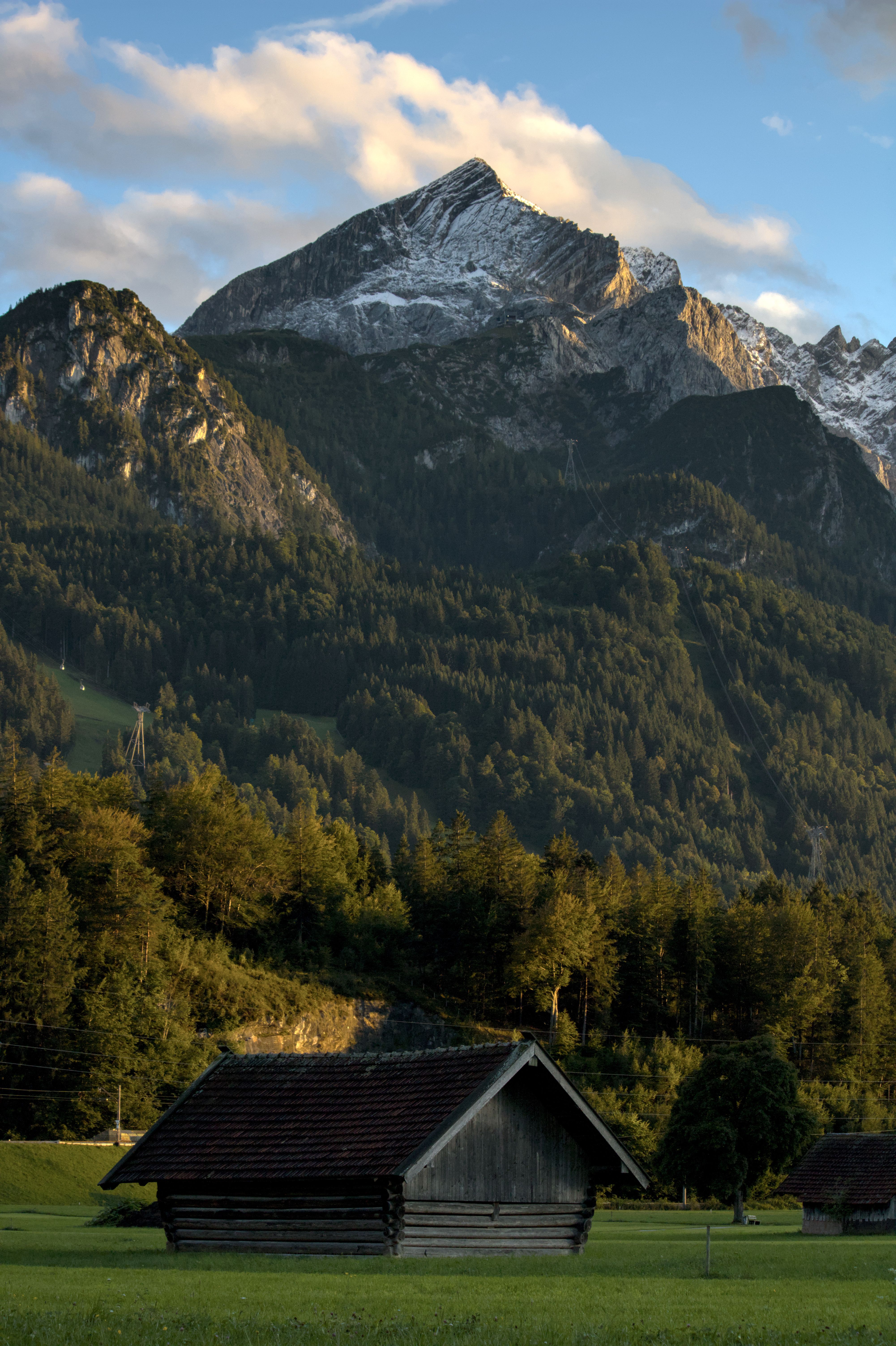 Mountain Tree Photos, Download The BEST Free Mountain Tree Stock Photos ...
